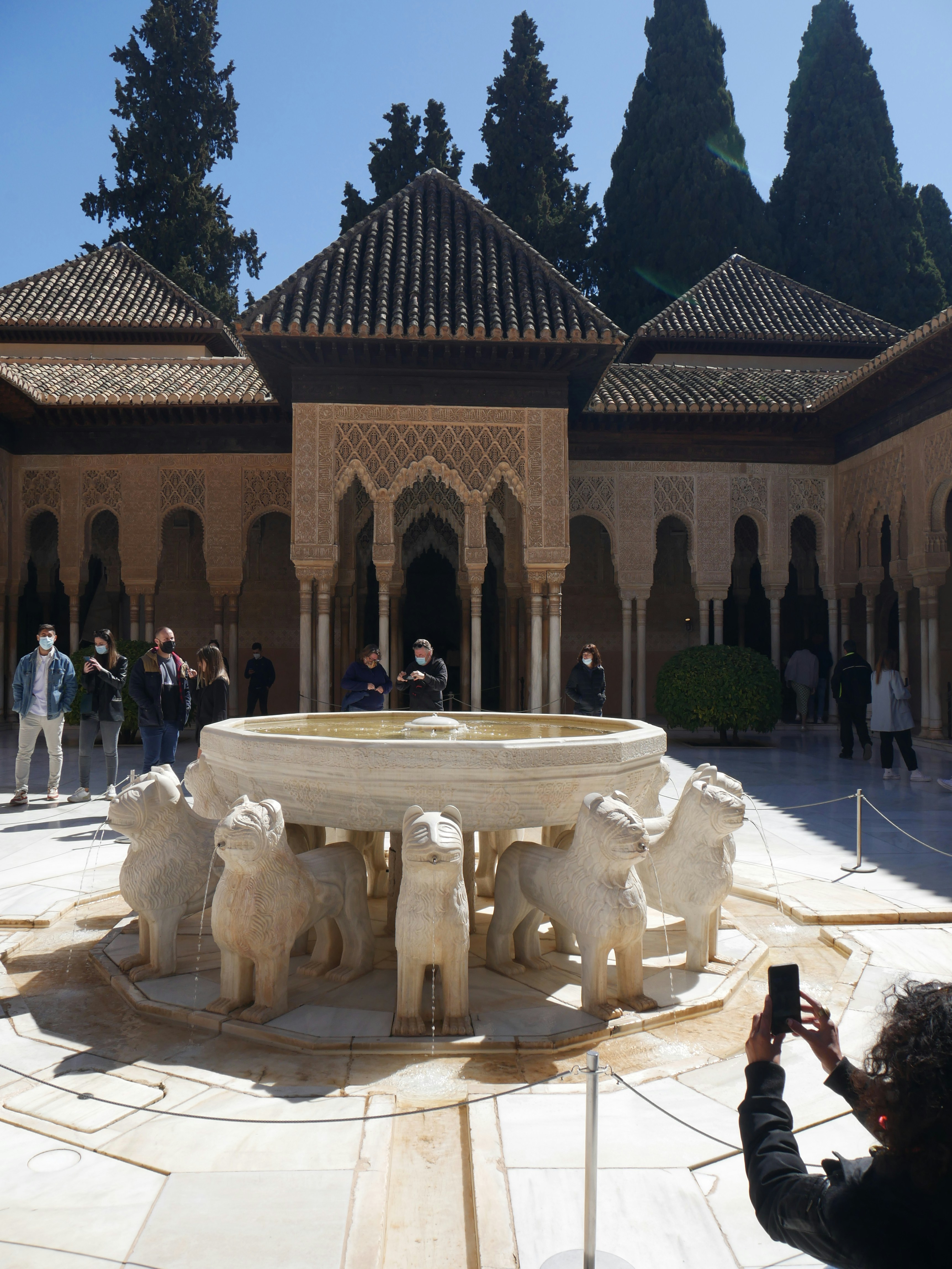 Stone Lions and Sunlit Geometry: Fountain at the Court of the Lions