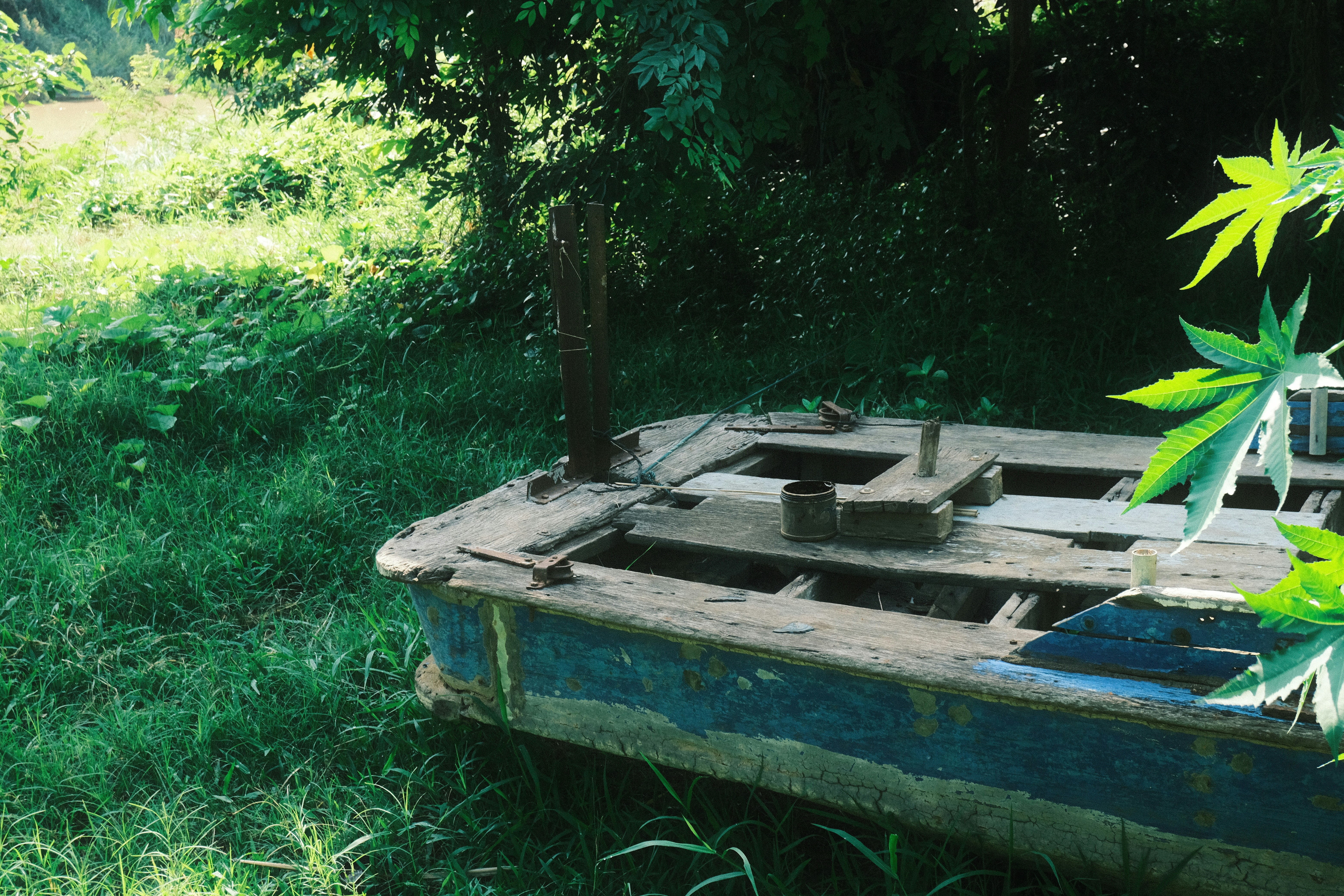 An abandoned wooden boat rests in lush greenery, partially obscured by vibrant leaves, suggesting a story of neglect and nature's reclamation.