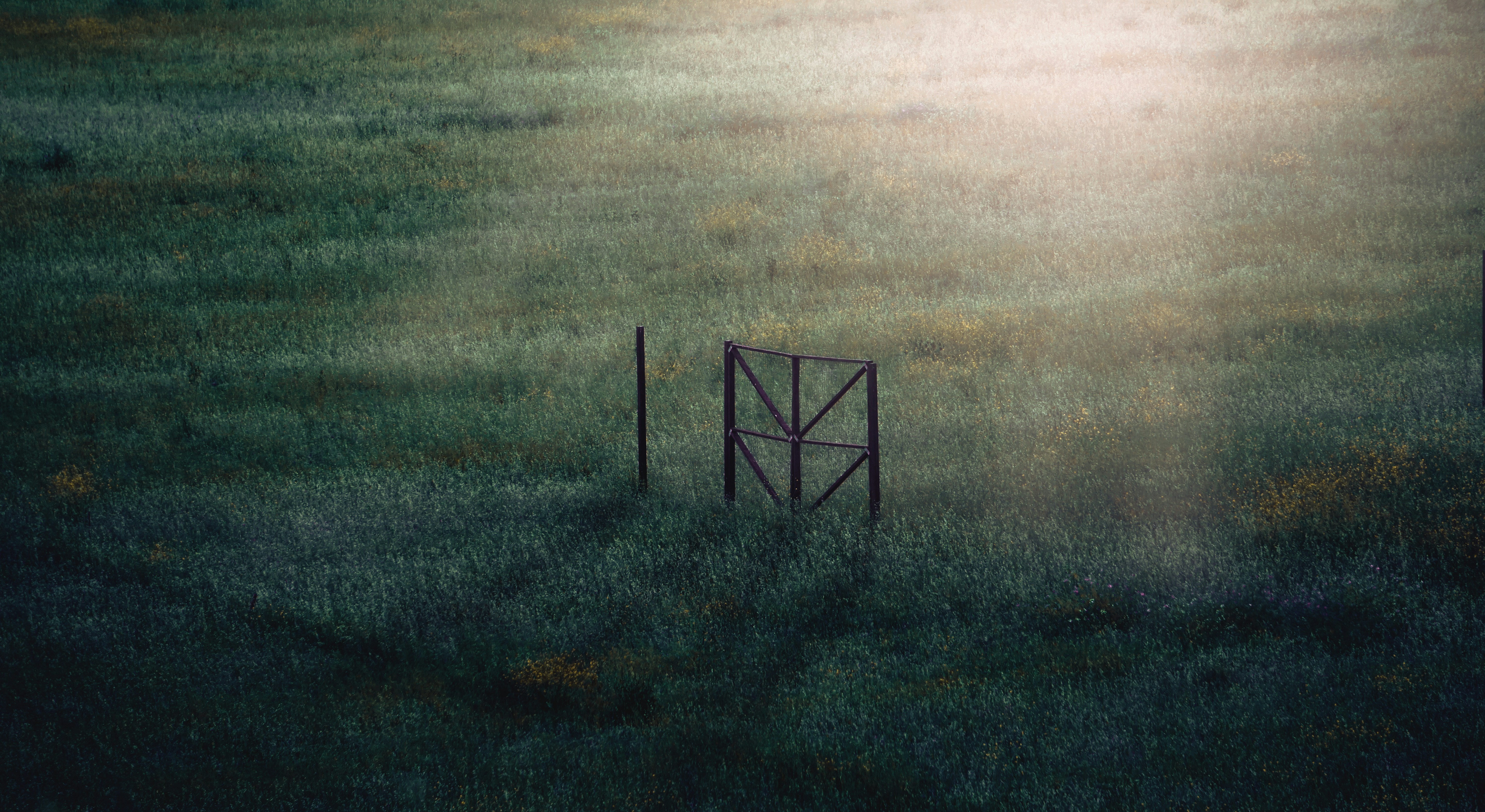 Threshold in the Mist: The Gate Standing Alone in a Quiet Field