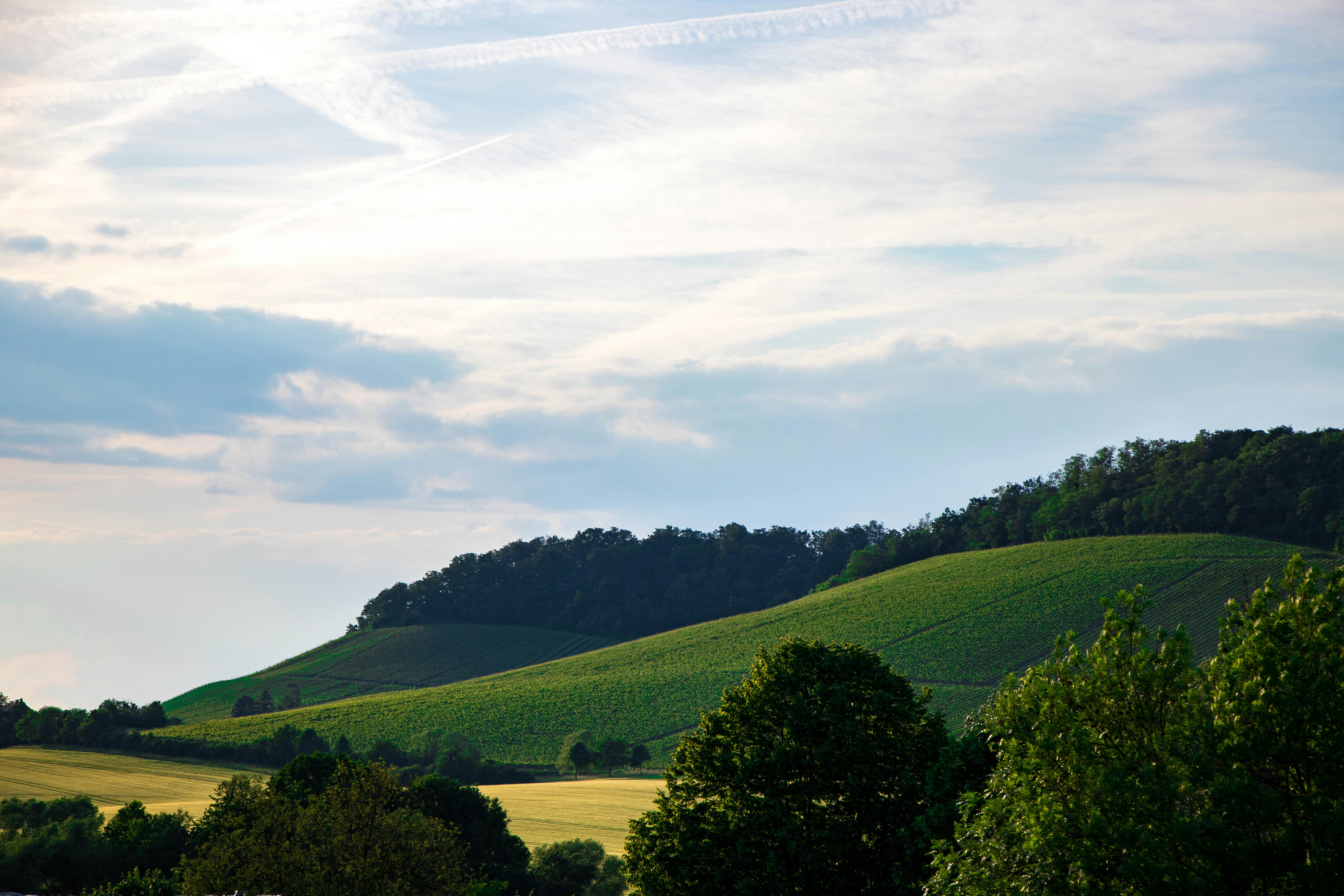 A view of a hill with trees and a plane in the sky photo – Free Nature ...
