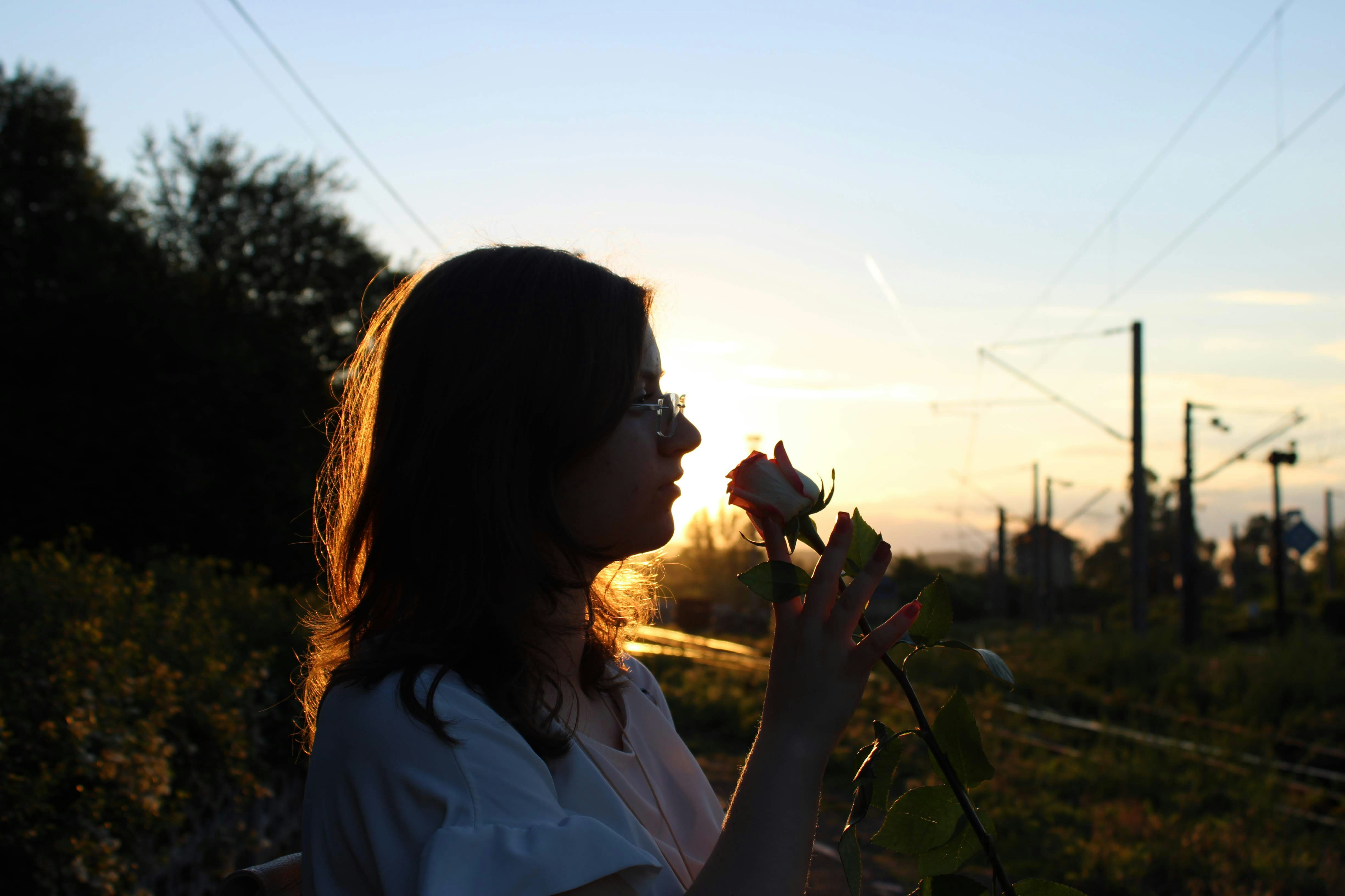 Backlit Rose: A Quiet Portrait at Sunset