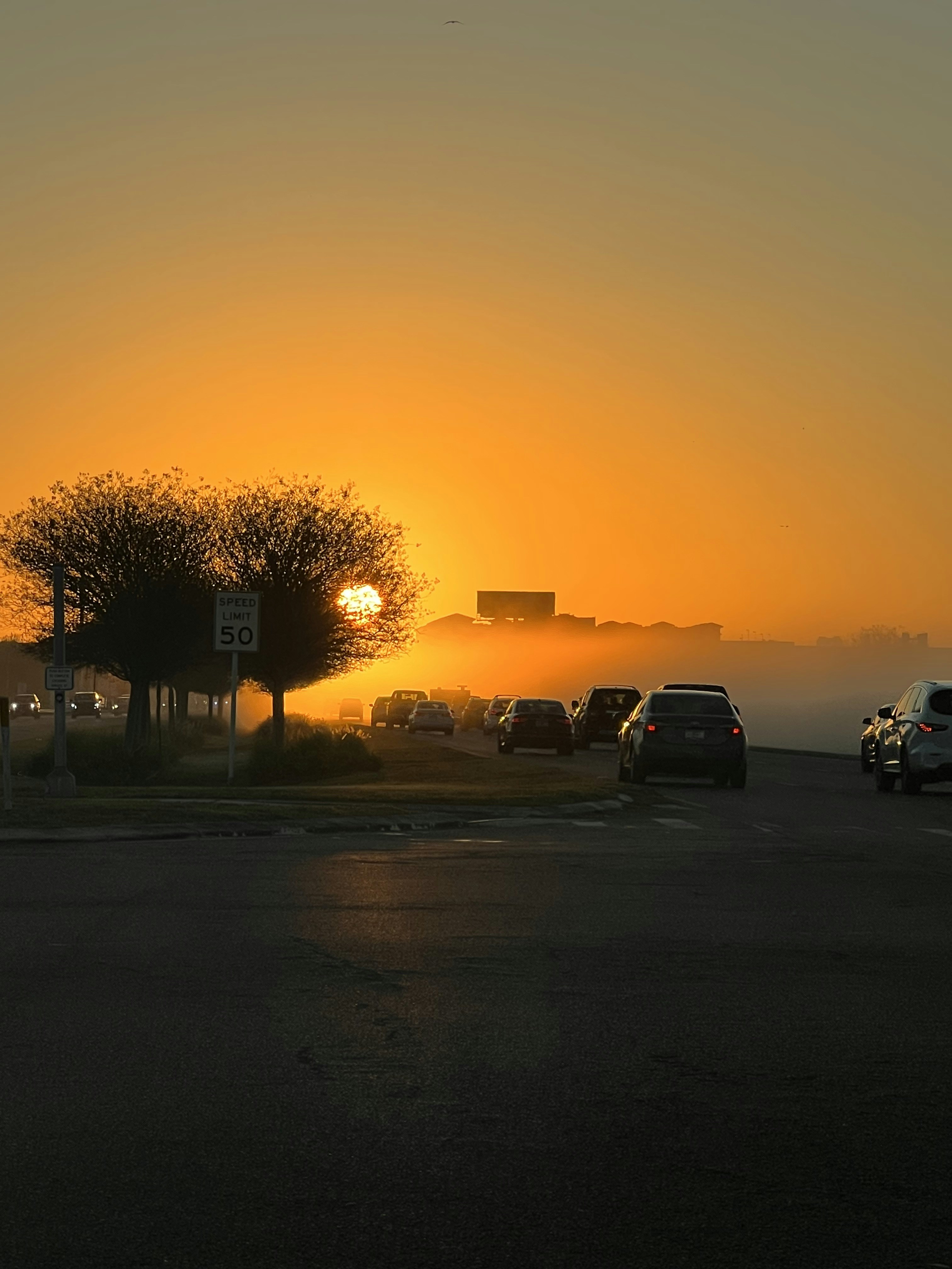 Highway Sunset: Golden Light Filtered by Fog over a Quiet Street