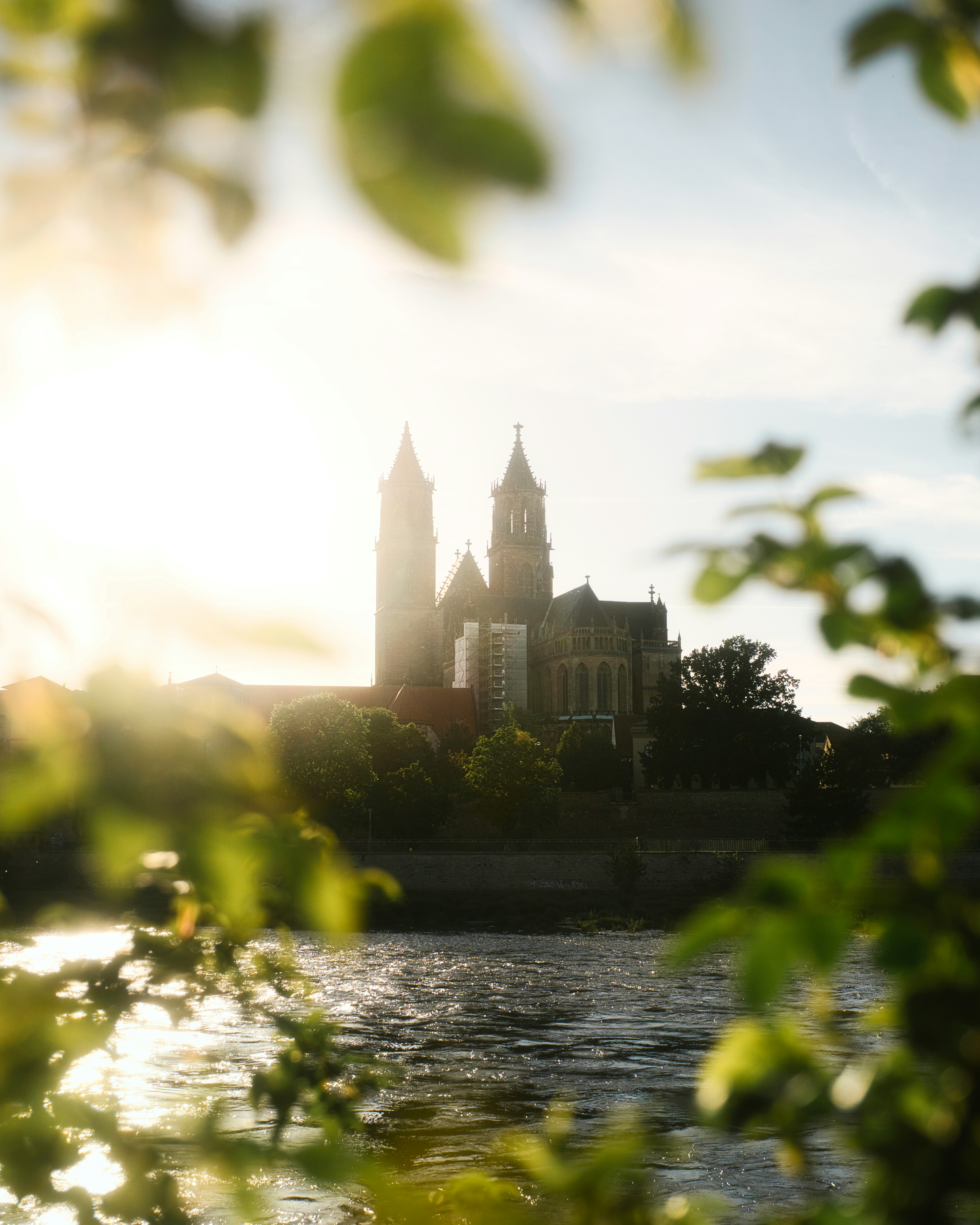 Historic towers emerge from a vibrant green foreground, framed by leaves, as sunlight glimmers on the water's surface.
