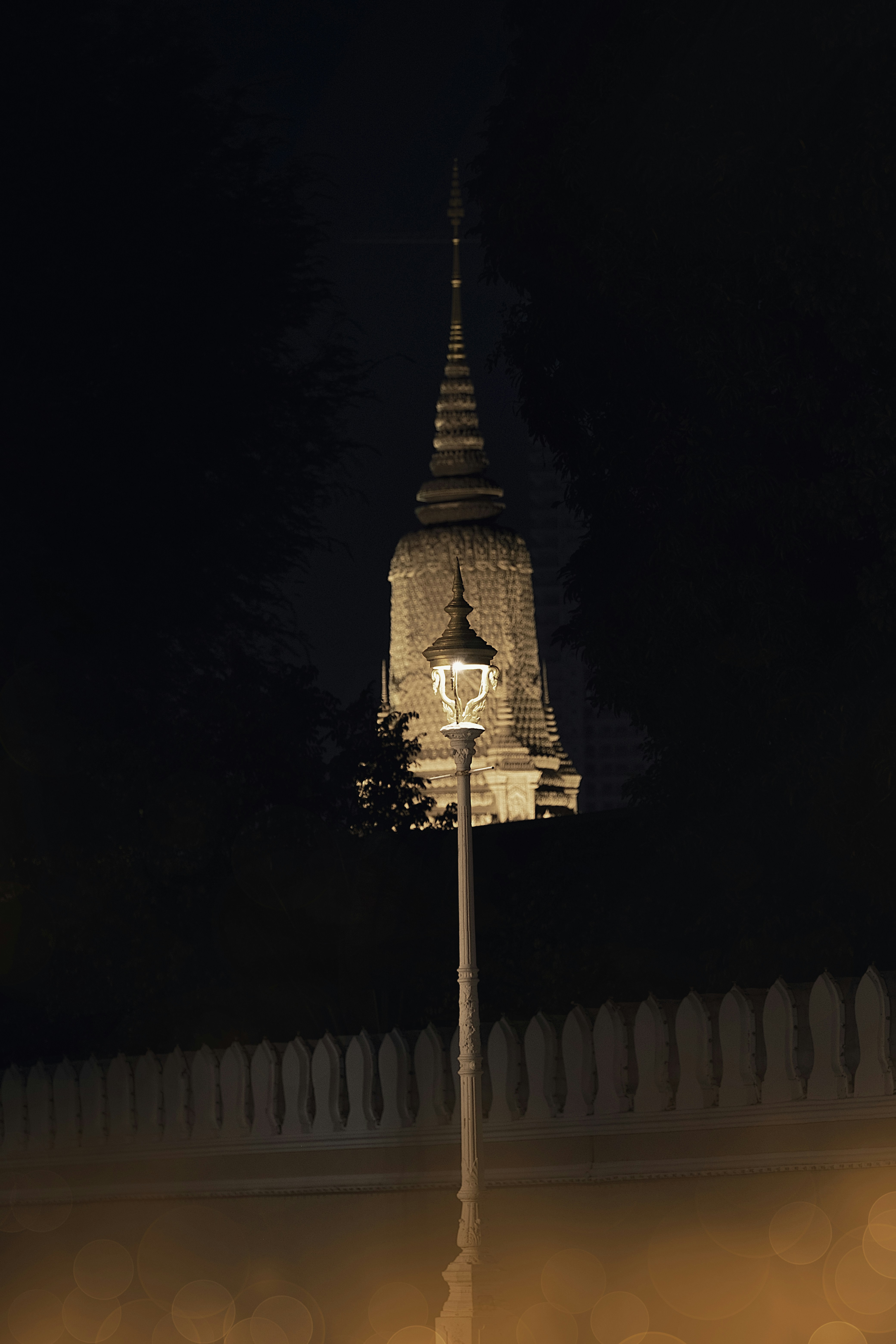 A softly glowing street lamp stands in the foreground, illuminating the night, while a pagoda tower rises majestically in the background, framed by dark foliage.