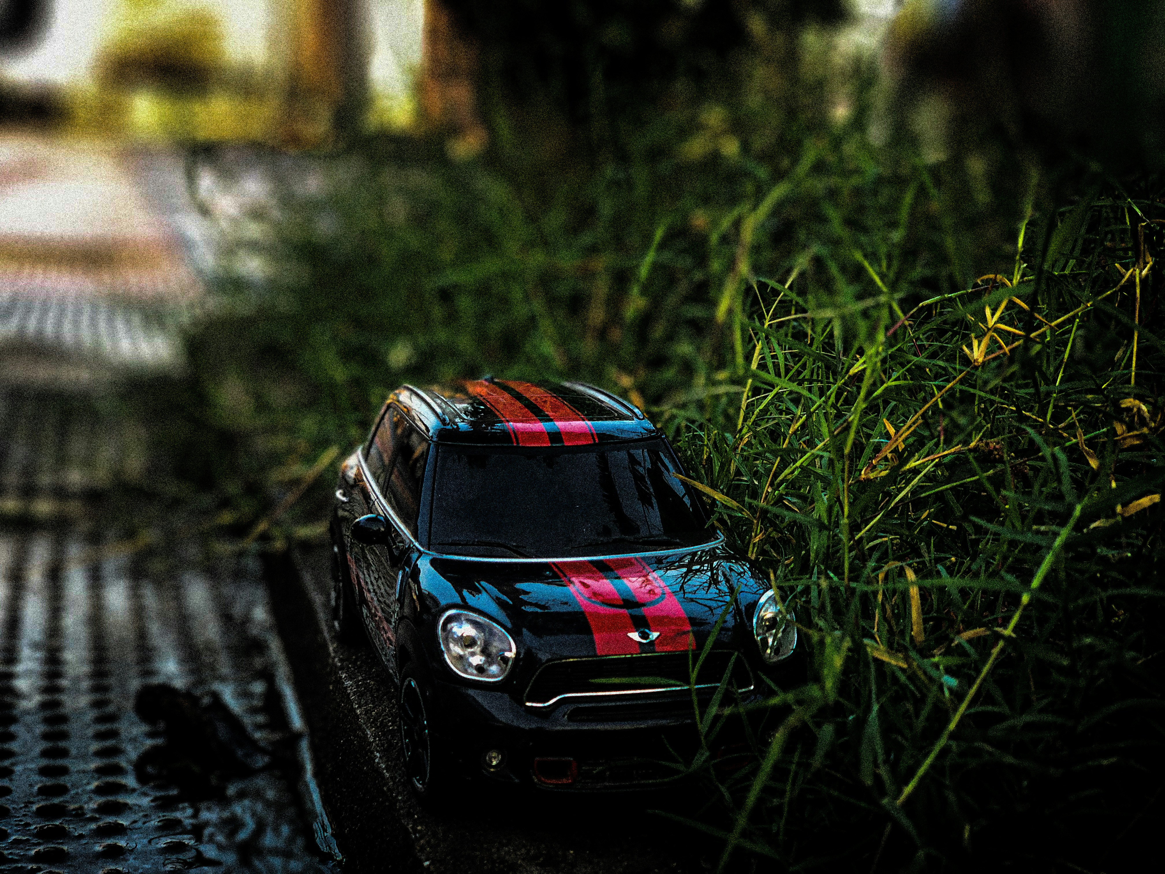 Rain-kissed miniature rally car prowls a fern-fringed path