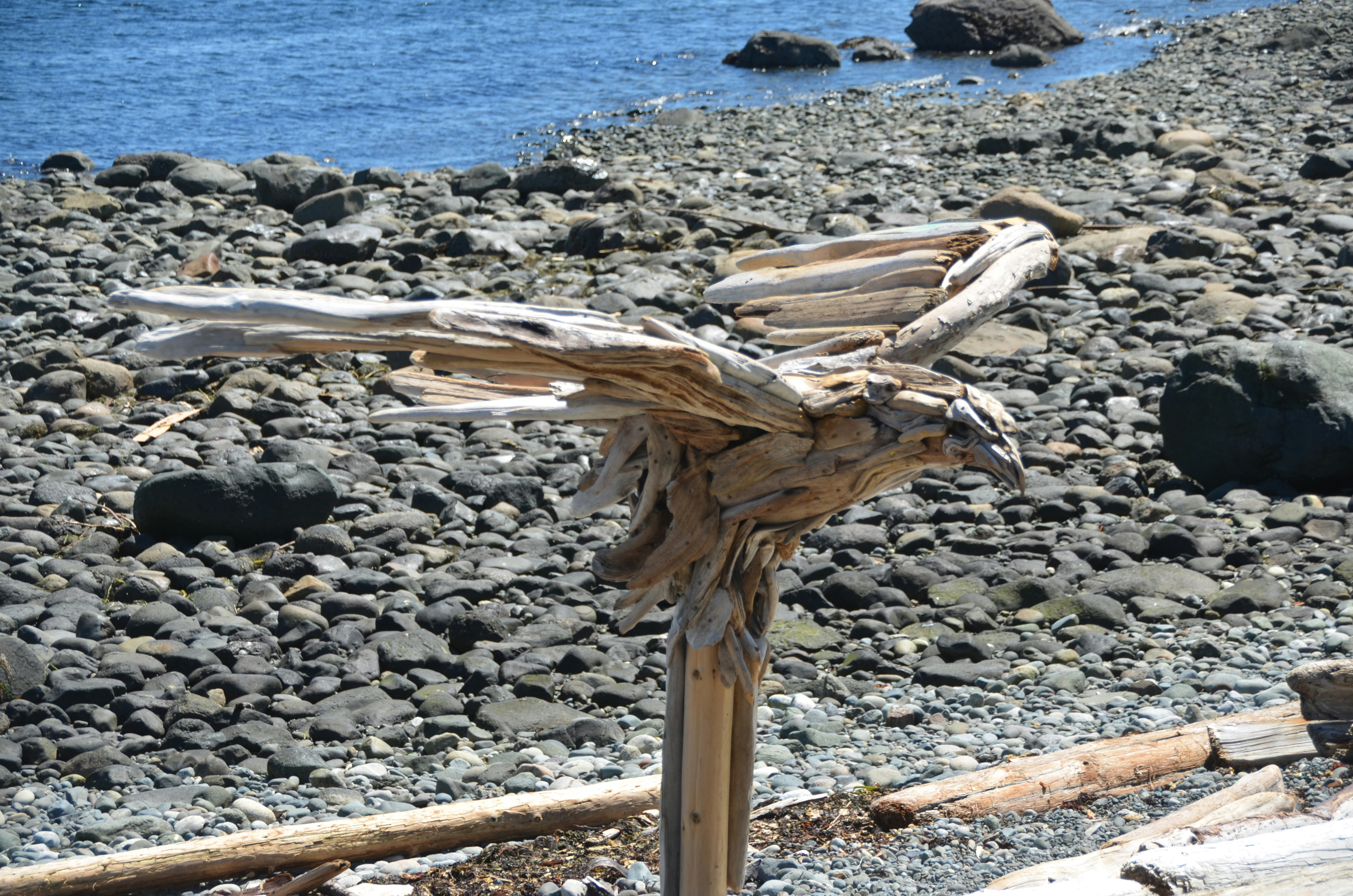 Driftwood Sentinel on a Pebble Shore