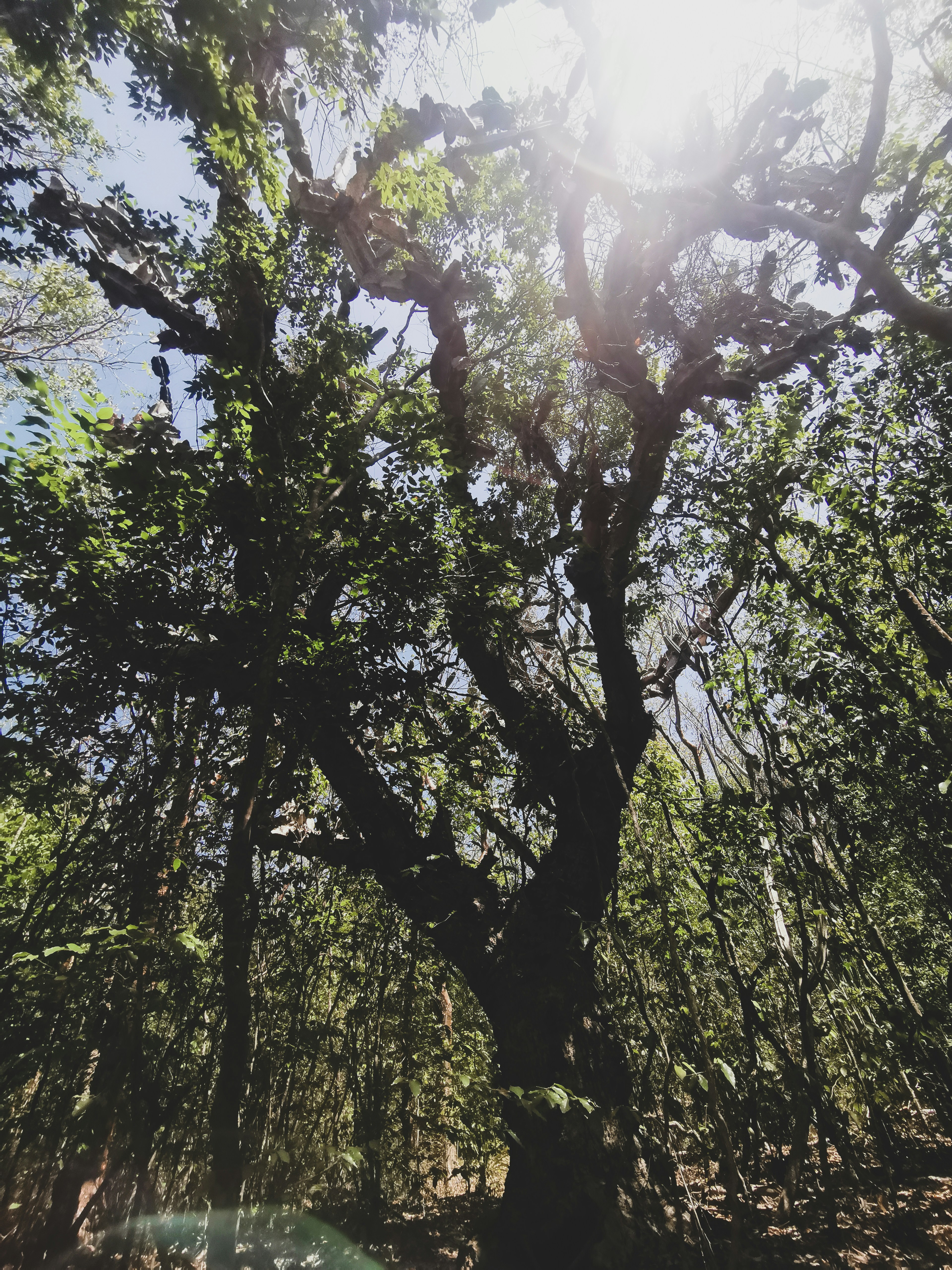 HD photo by Max Letek