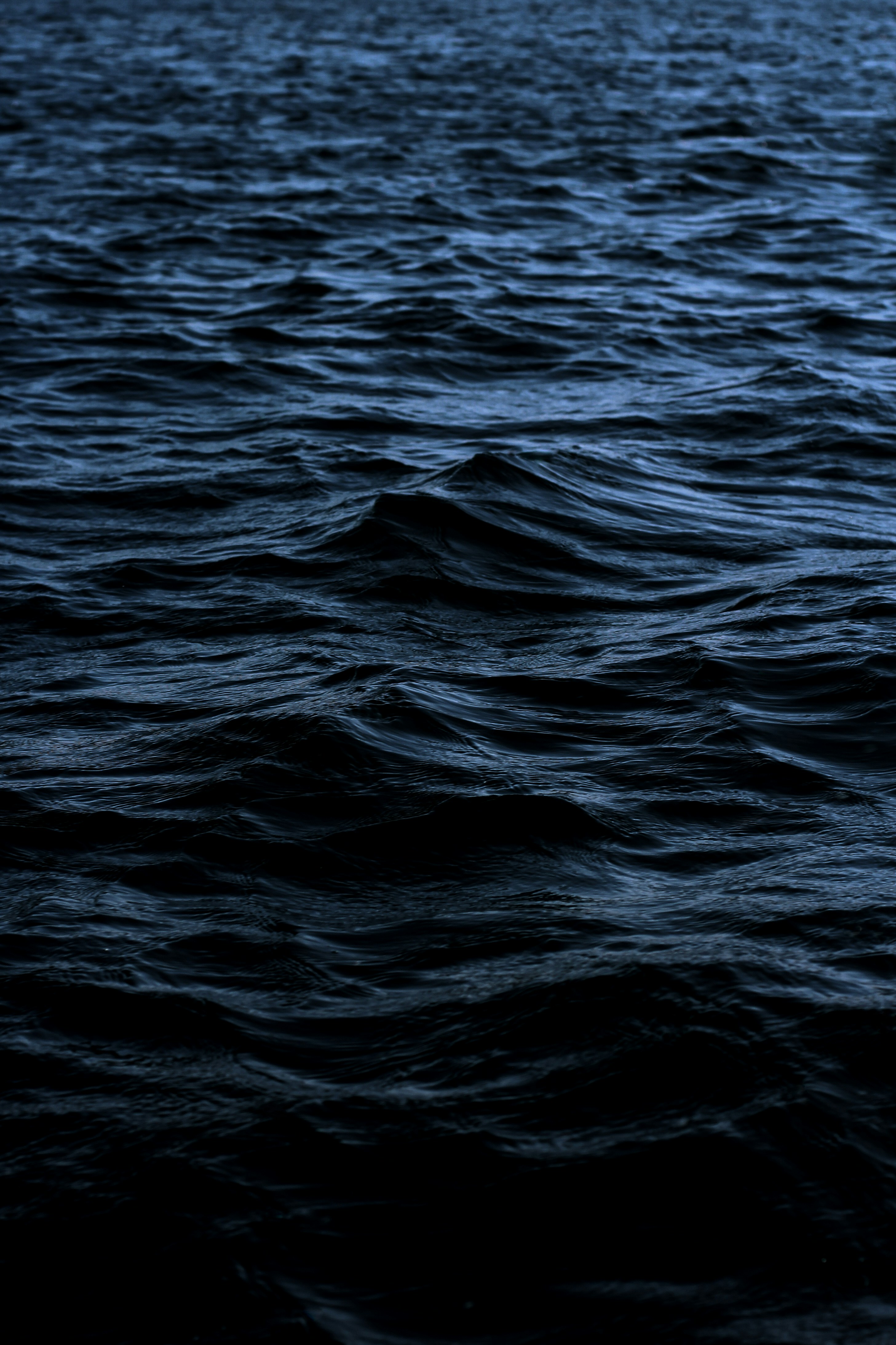 Photo by fabian jones with Canon EOS 700D