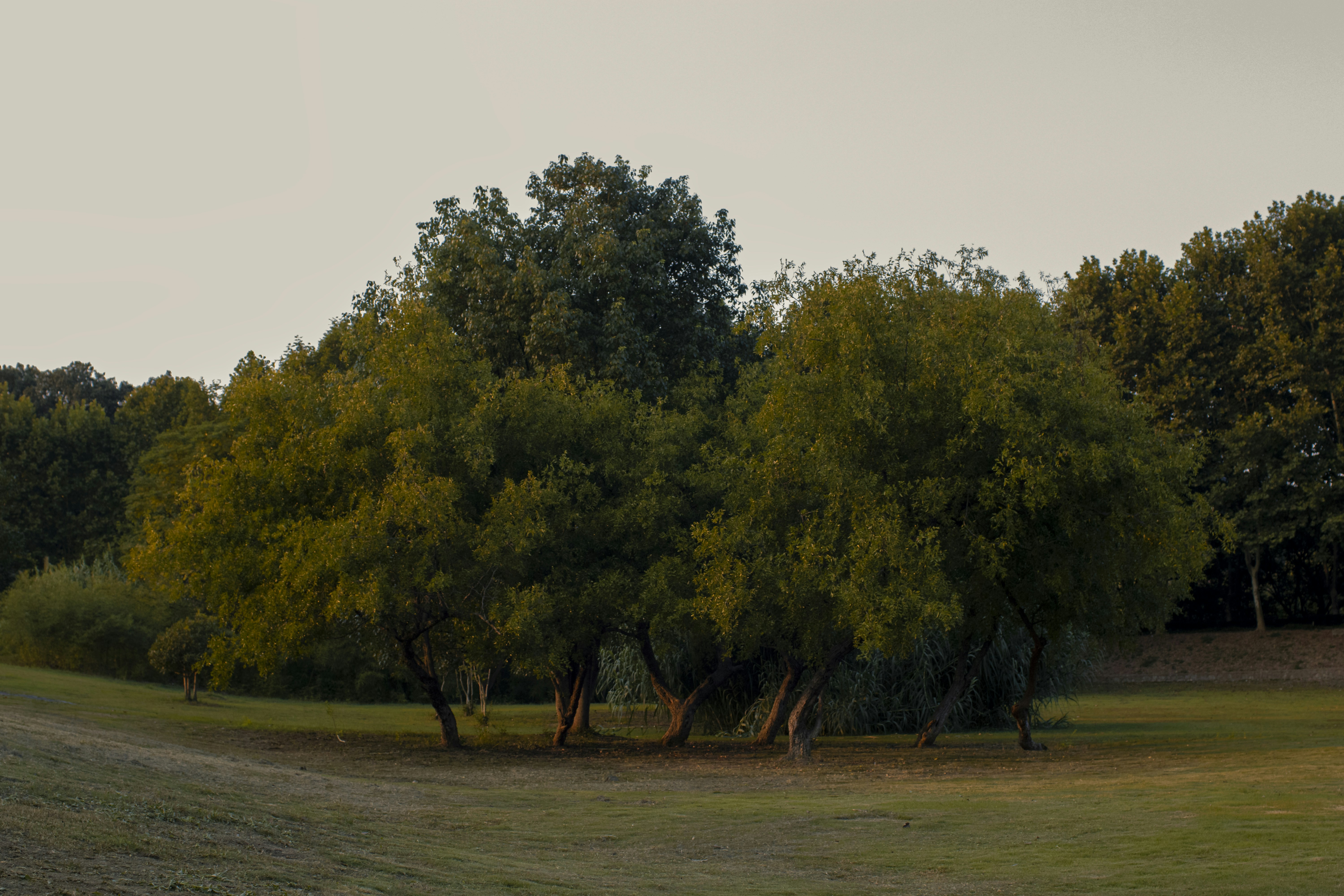 Photo by yang ma with Canon EOS 77D