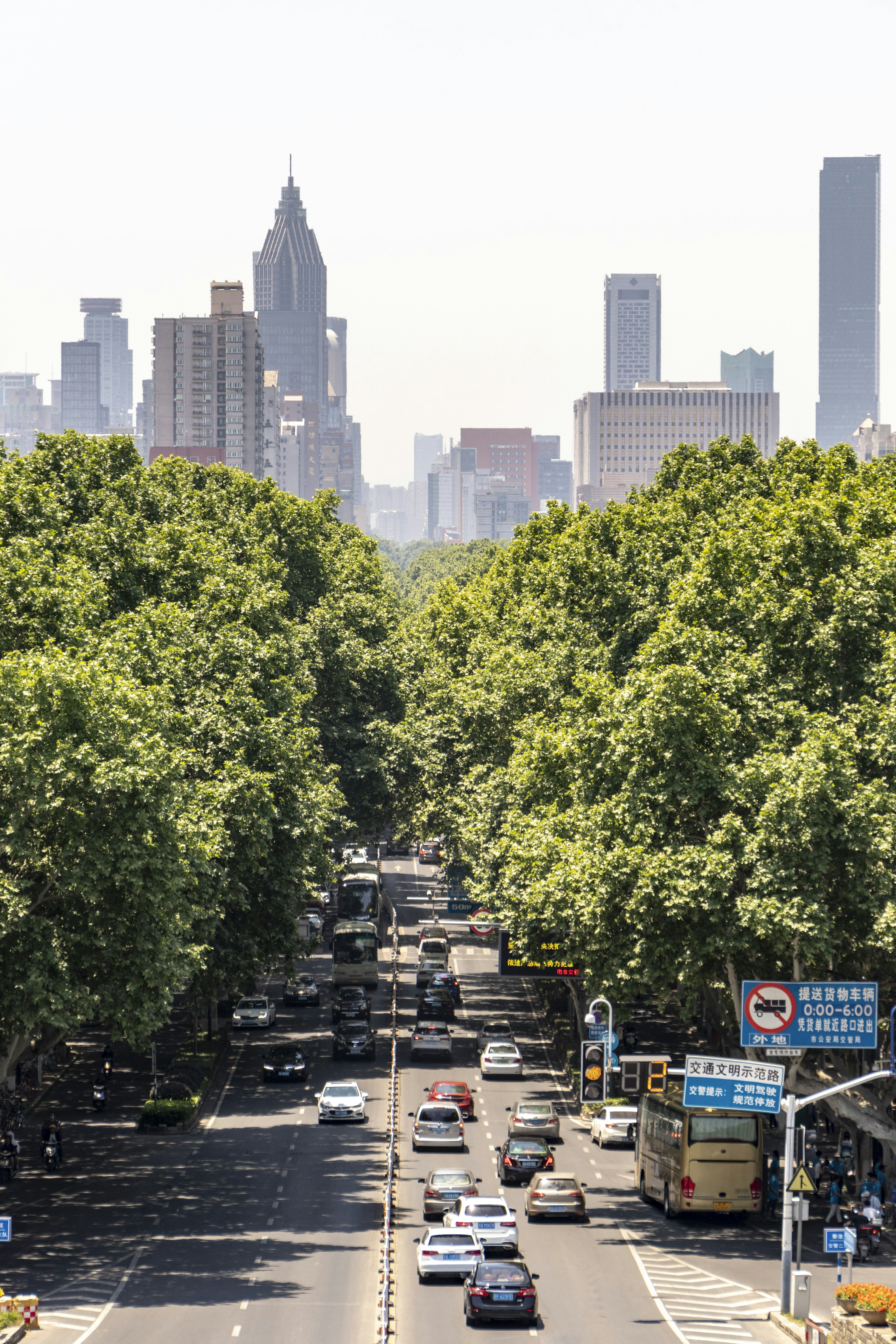 Lush trees line a bustling urban street, with skyscrapers rising in the background under a clear sky. Traffic flows through the vibrant cityscape.