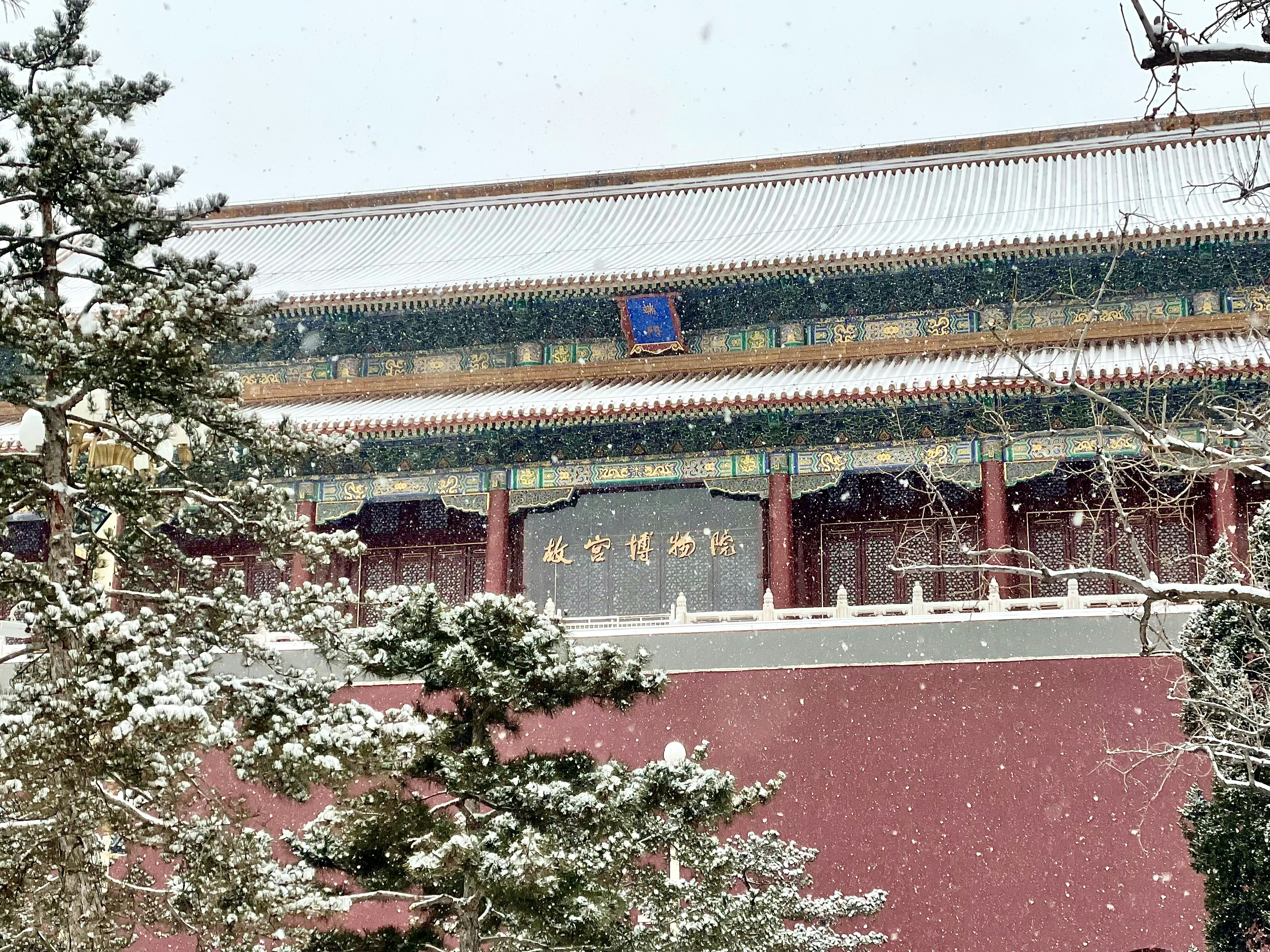 A snow covered building with trees in front of it photo – Free Building ...