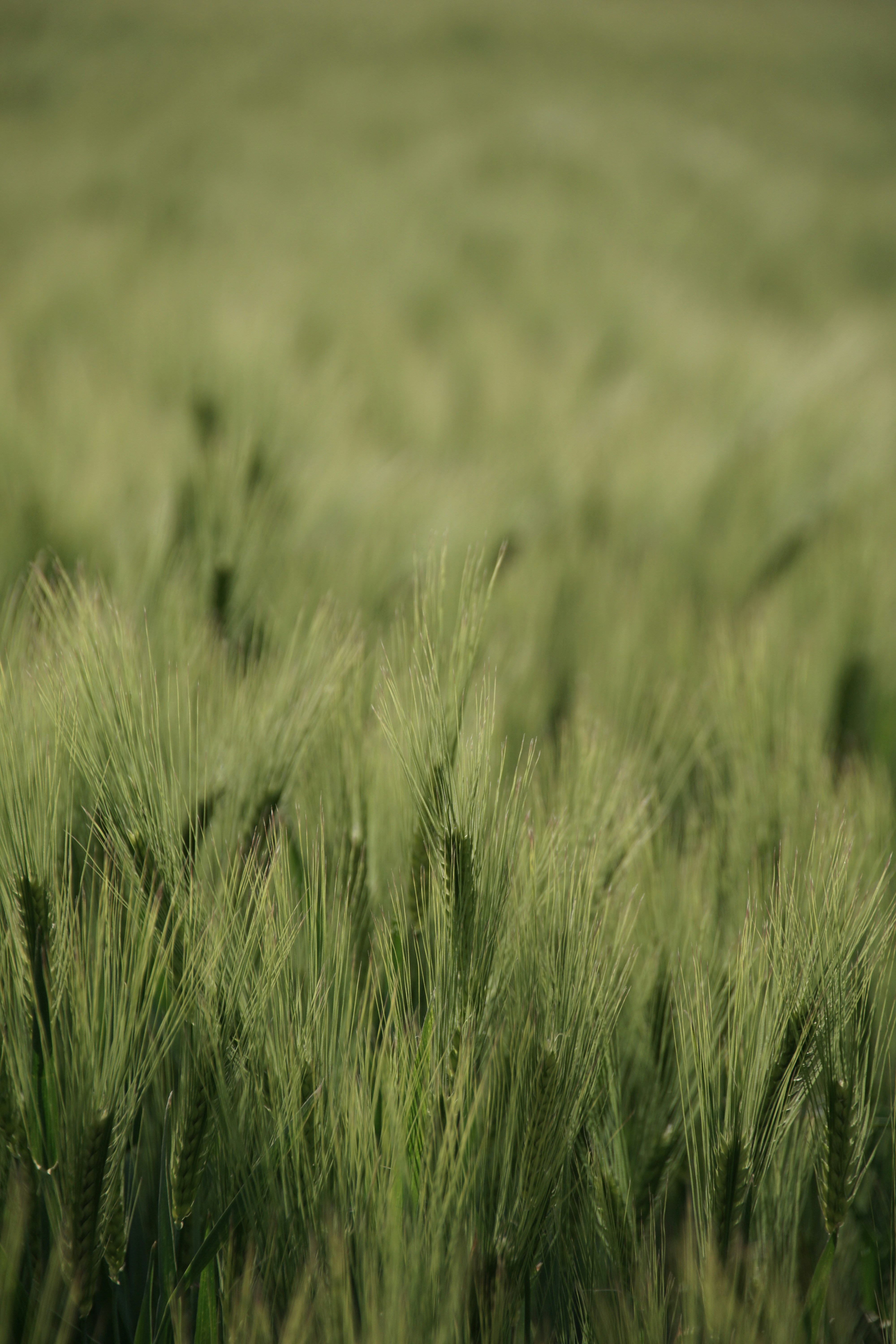 Acker Photos | Télécharger des images gratuites sur Unsplash