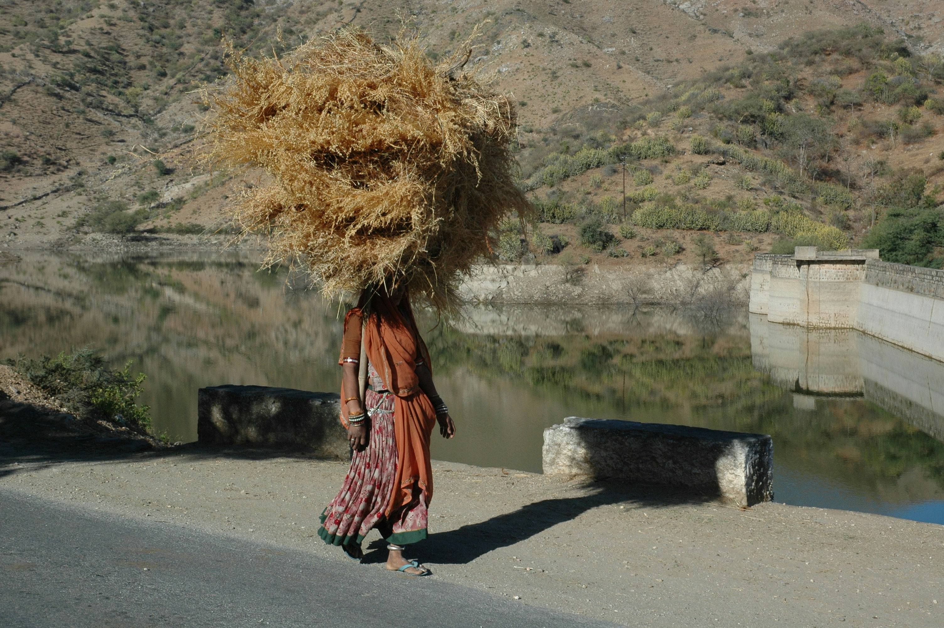Dusty Path, Heavy Headdress: A Woman Carries the Burden of Harvest