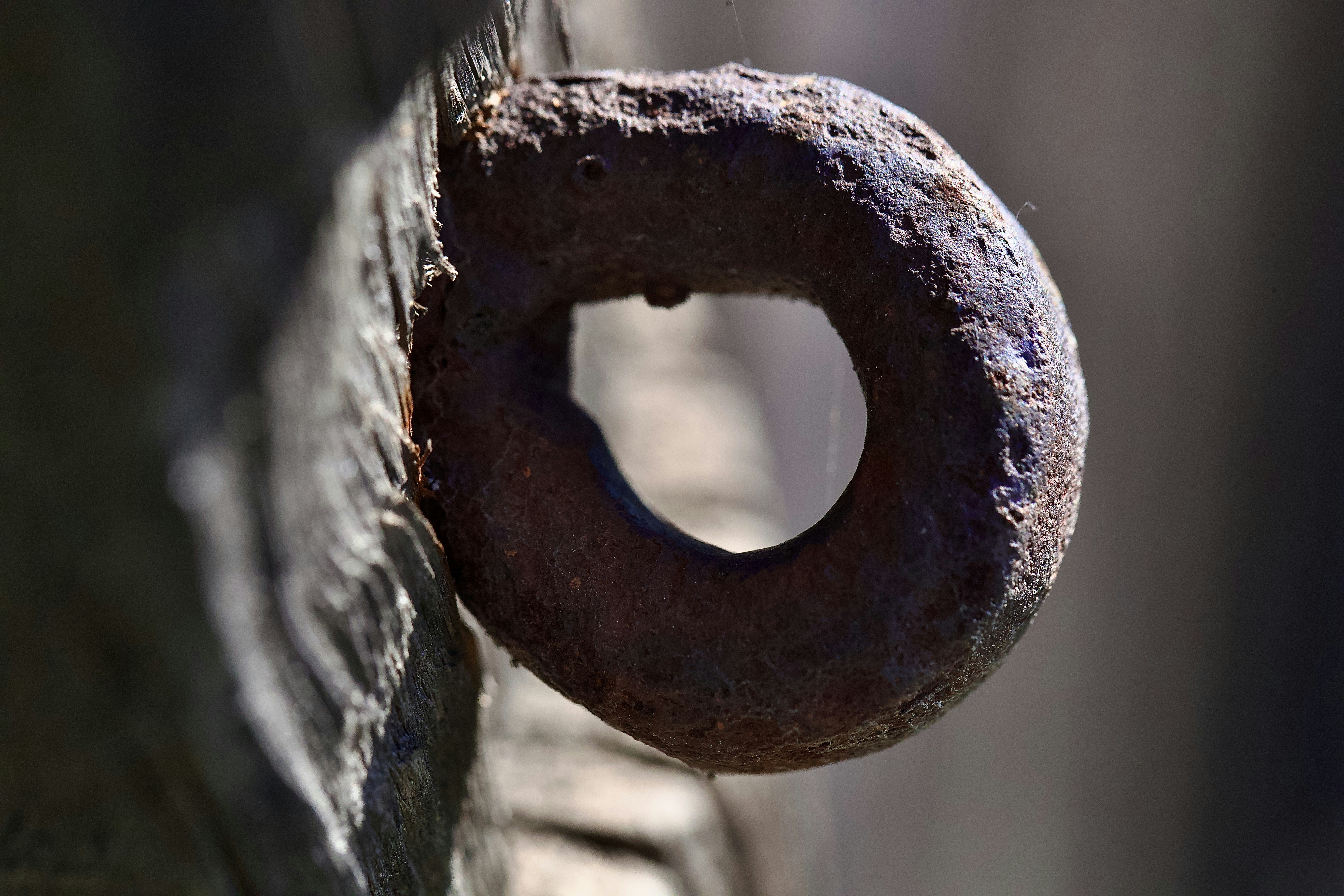 Rust Ring in Weathered Wood: A Study in Texture and Time