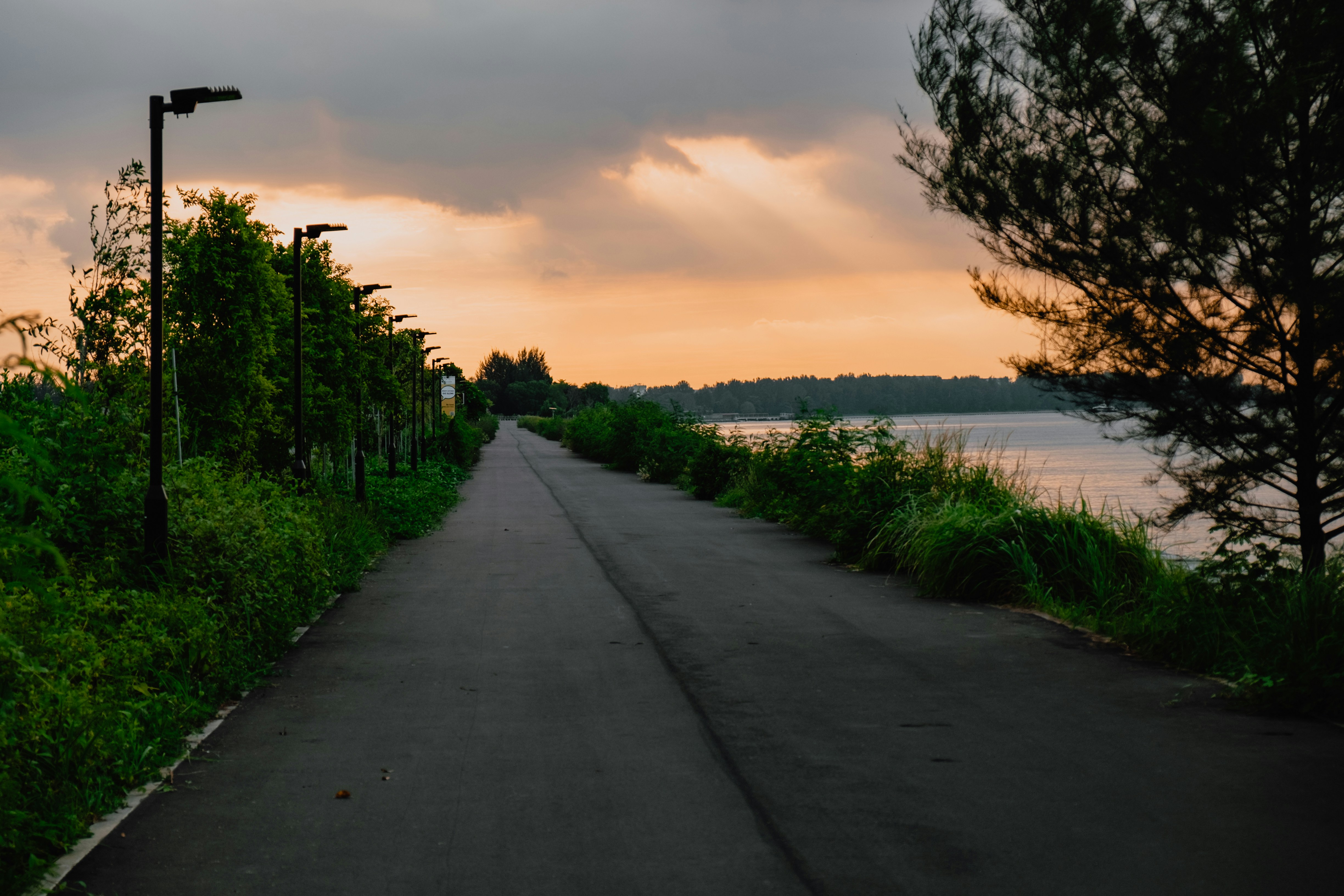 A quiet pathway bordered by lush greenery, leading towards a serene body of water under a moody sky. The scene is illuminated by soft, diffused light from the setting sun.