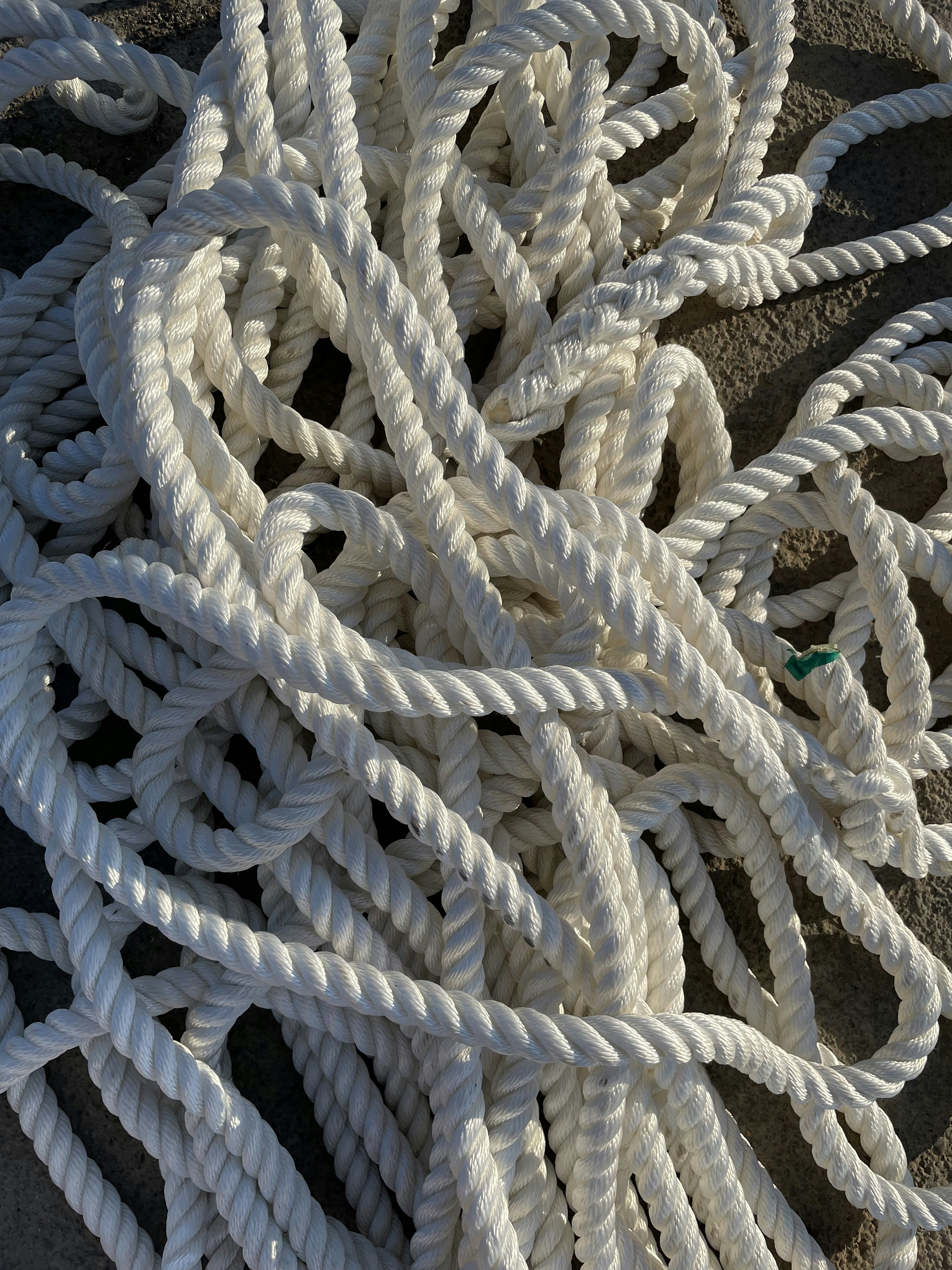 A bunch of white ropes laying on the ground photo – Free Image on Unsplash
