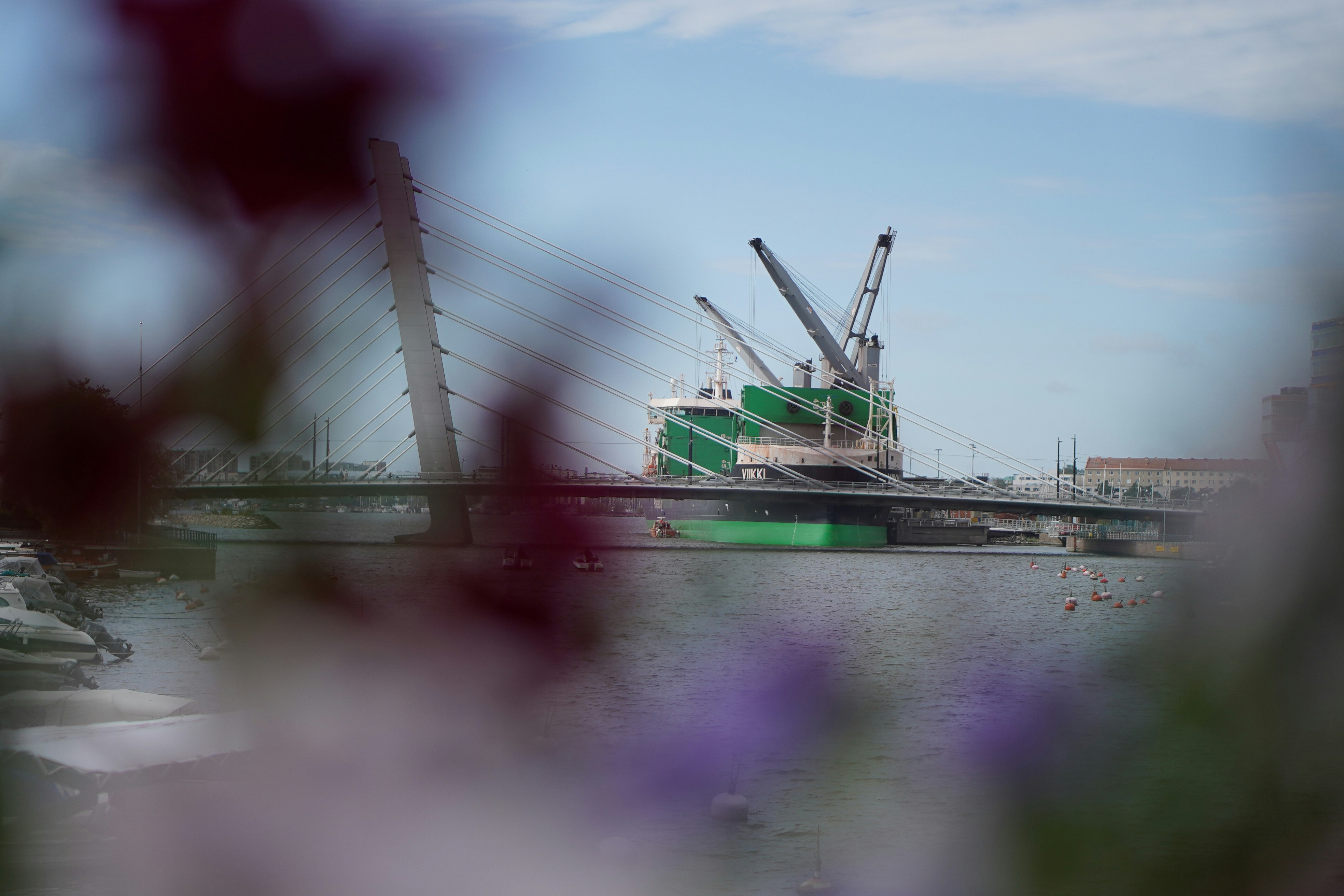 Harbor Crane Silhouette Beyond a Framing Bloom