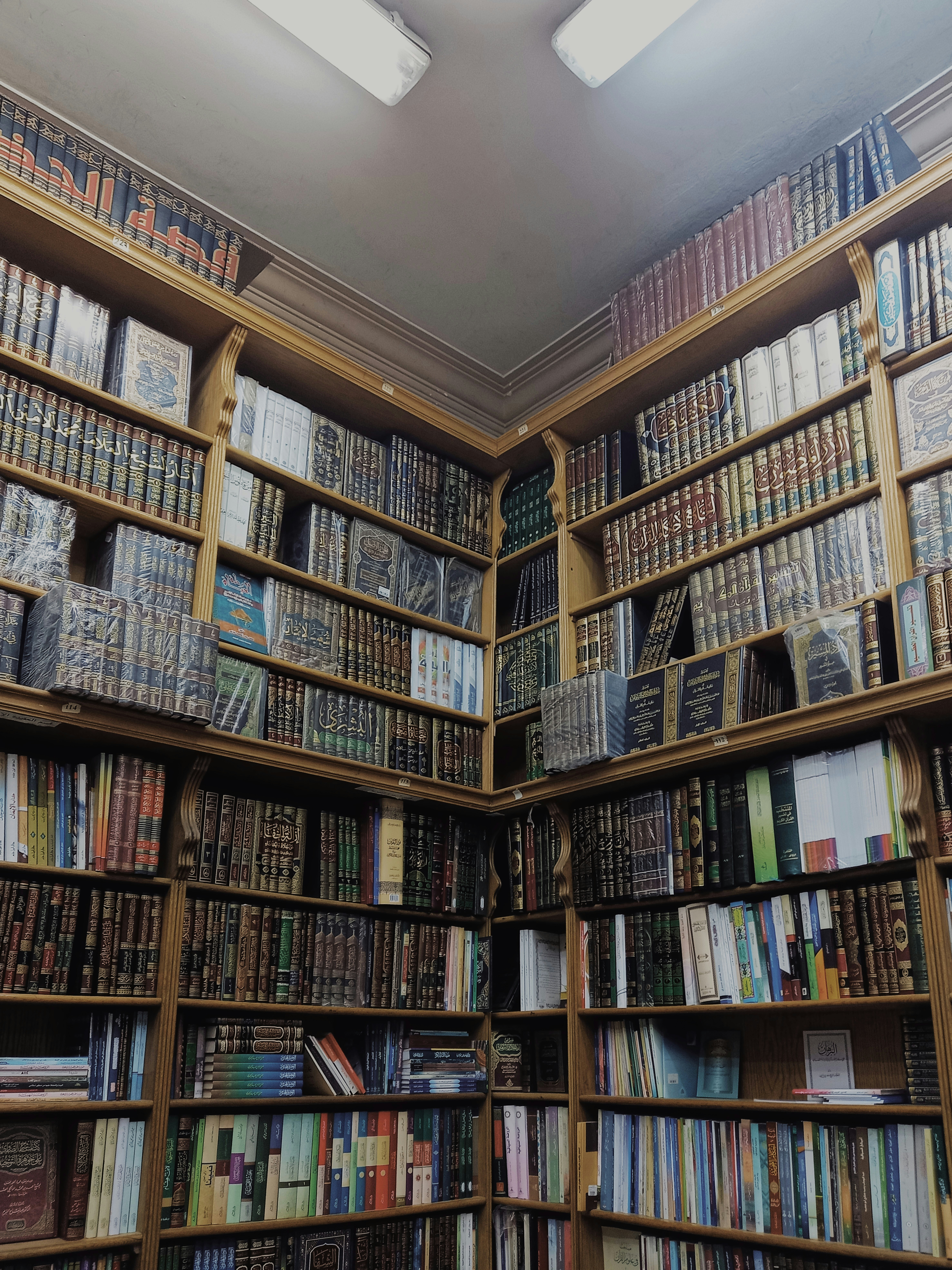 A bookshelf filled with lots of books in a library photo – Free Cairo ...