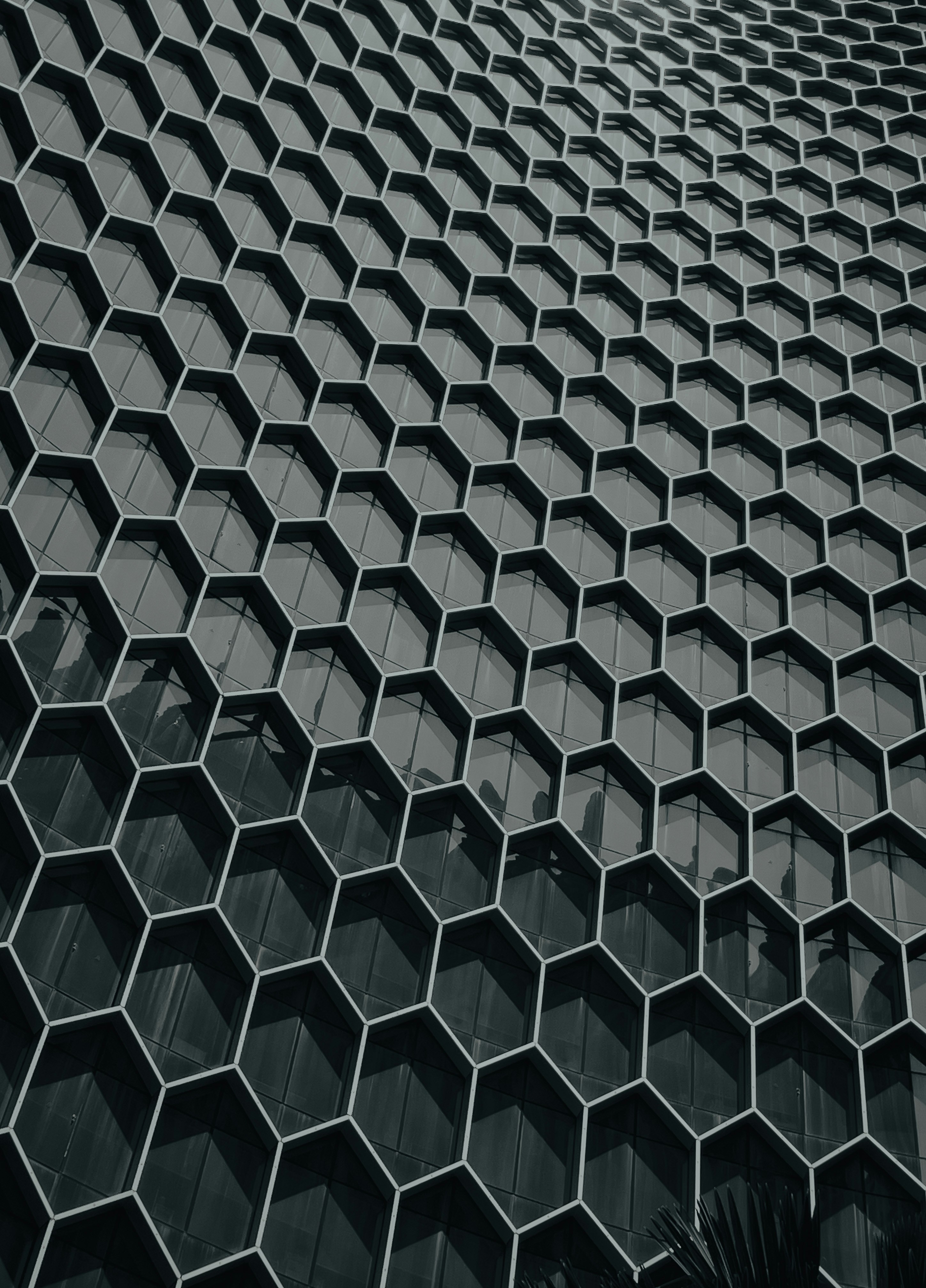 Close-up of a hexagonal-patterned glass facade showcasing intricate design and structure.