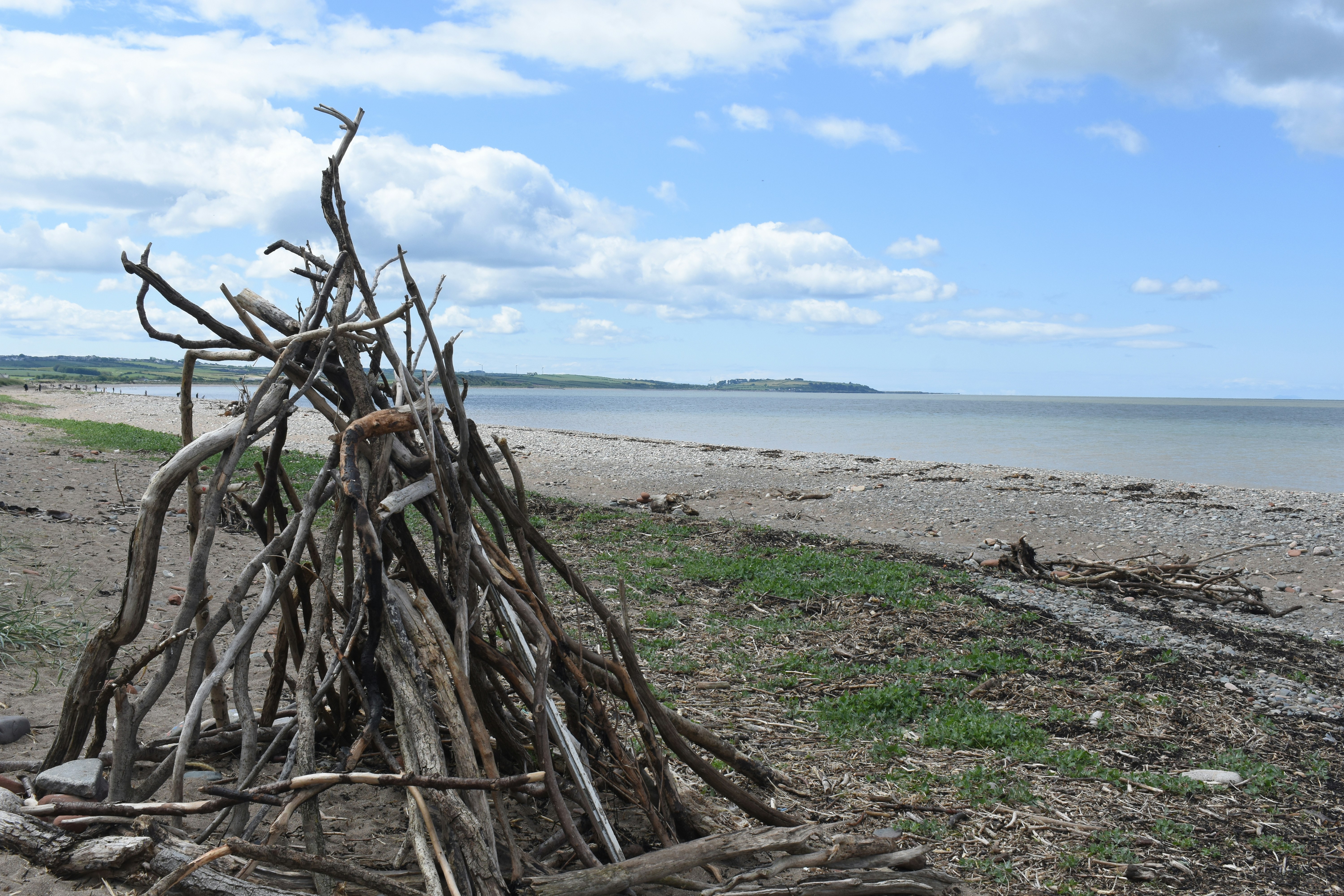 Driftwood Beacon on a Quiet Shore