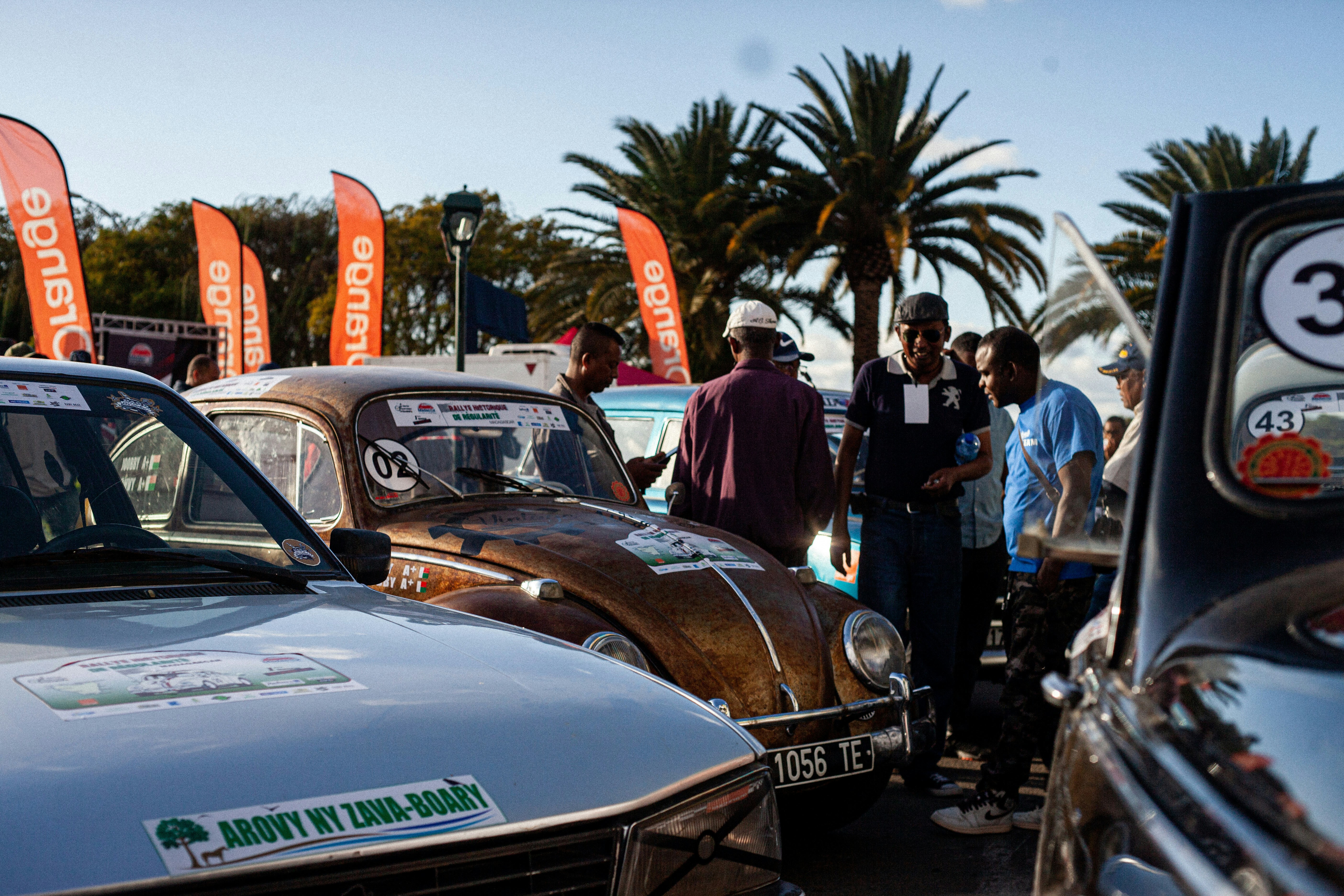 Palm-Shade Chrome: A Classic Car Gathering in Focus
