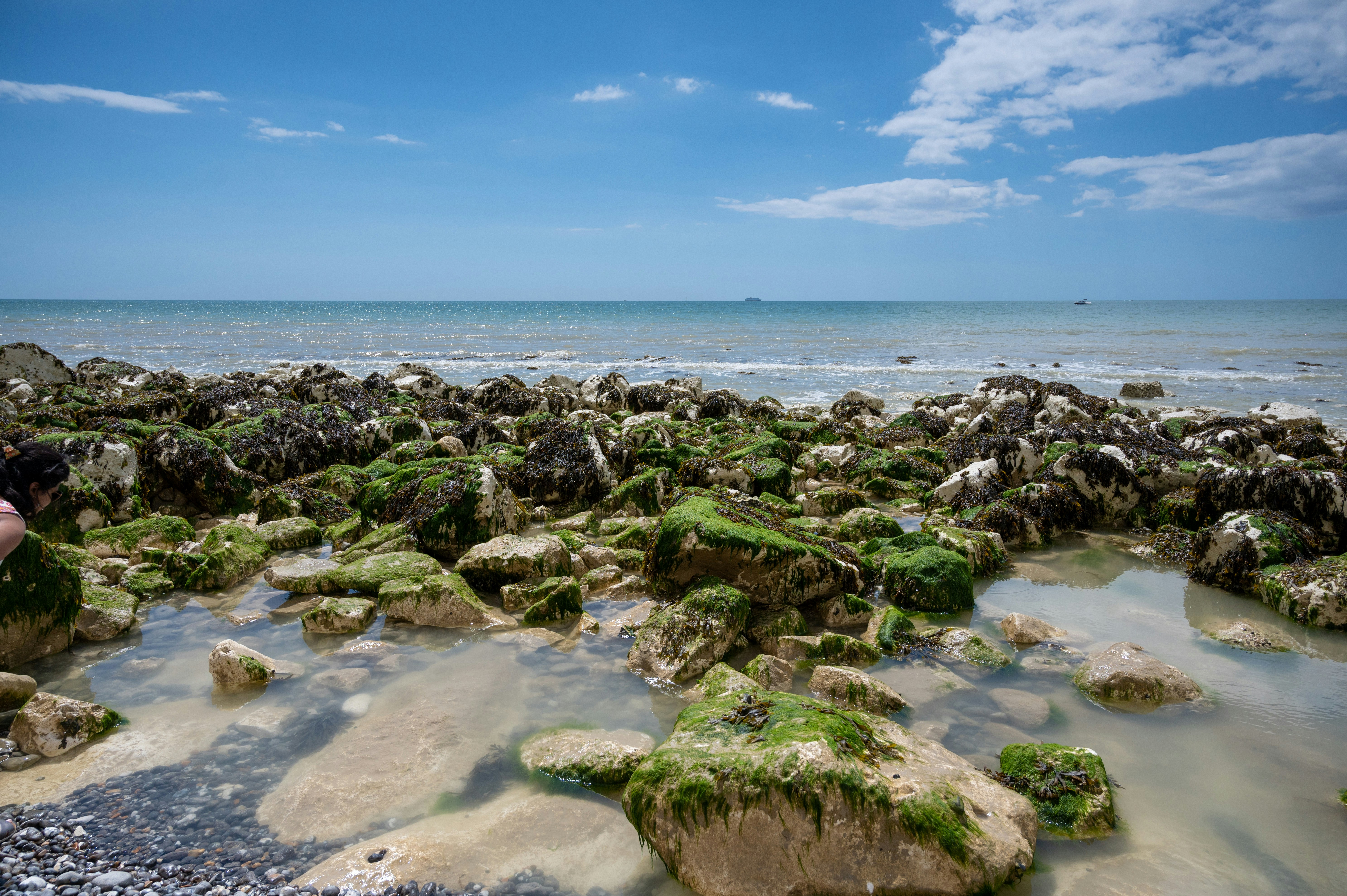 a person taking a picture of a rocky beach