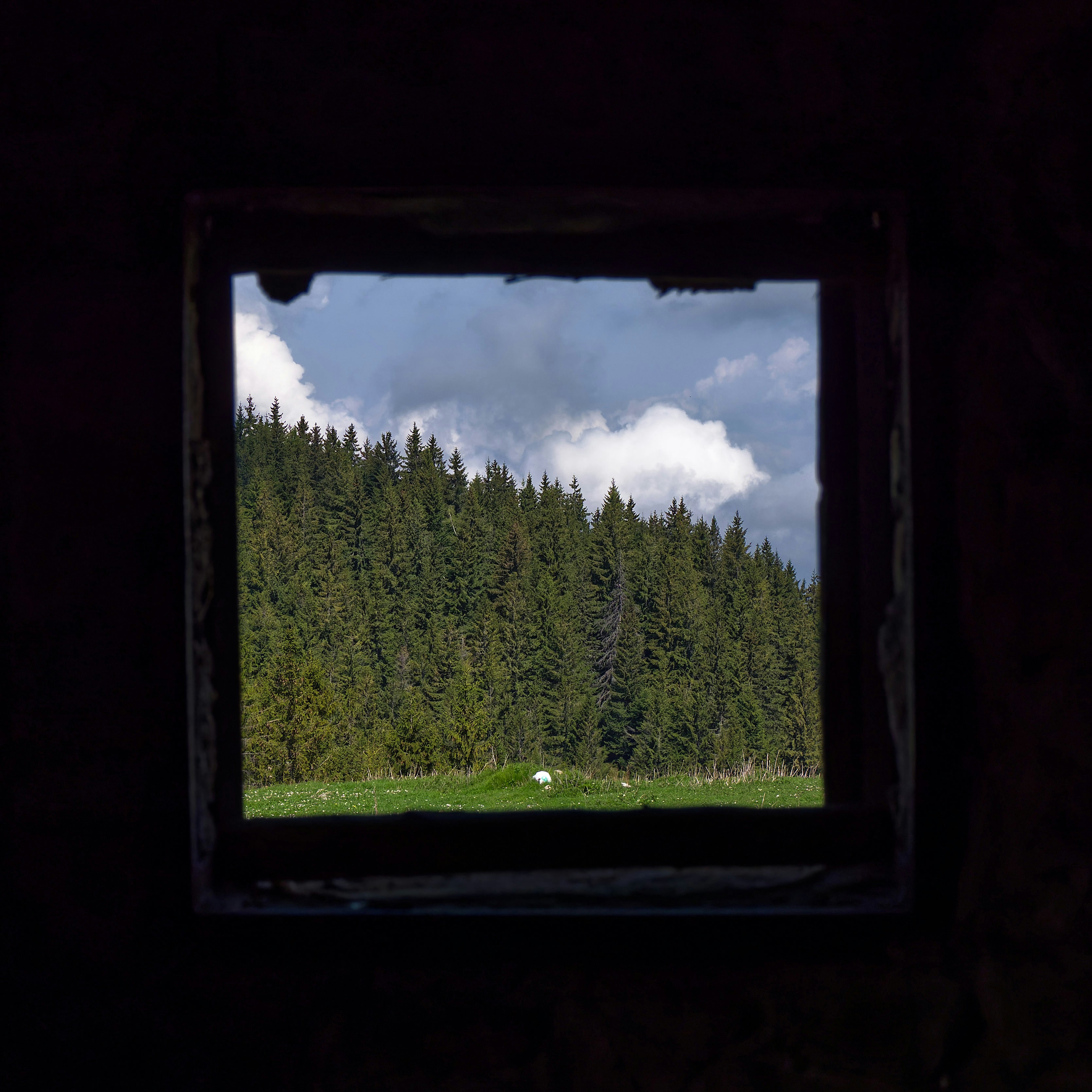 Lush green forest viewed through a rustic window frame, contrasting the dark surroundings. A serene scene of nature unfolds beyond the confines of the structure.