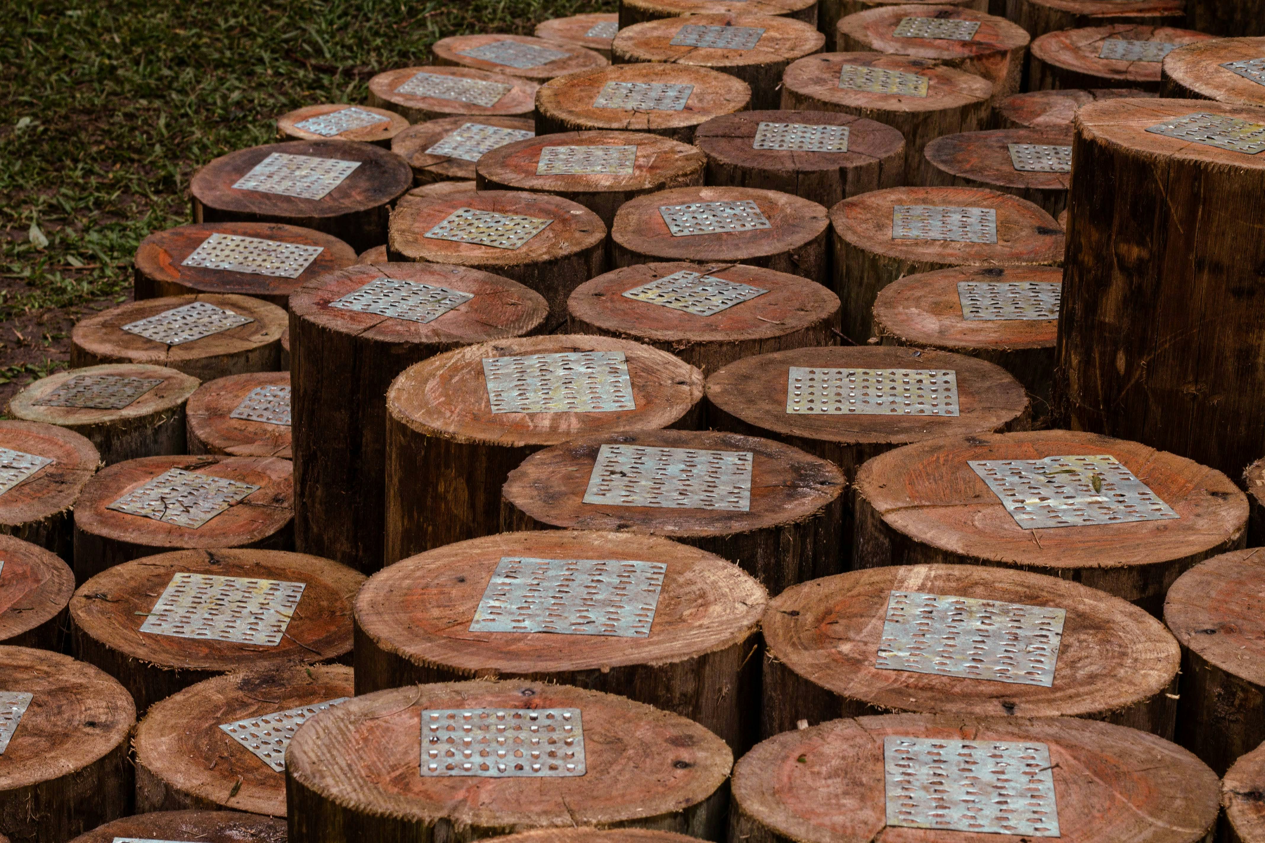 Un tas de rondins de bois avec des numéros photo – Photo Brun Gratuite ...