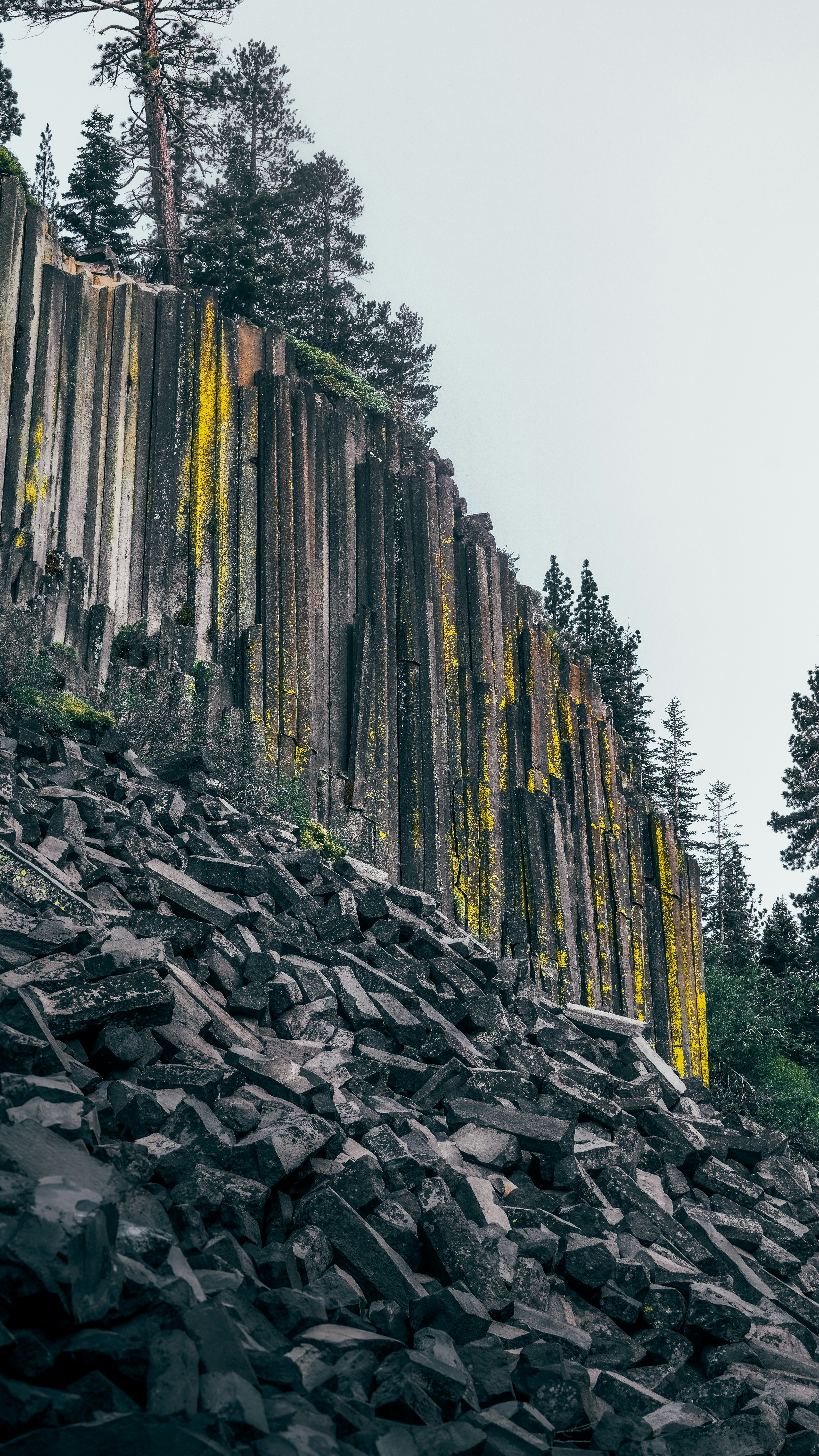 Une grande formation rocheuse avec de la mousse jaune qui pousse dessus ...