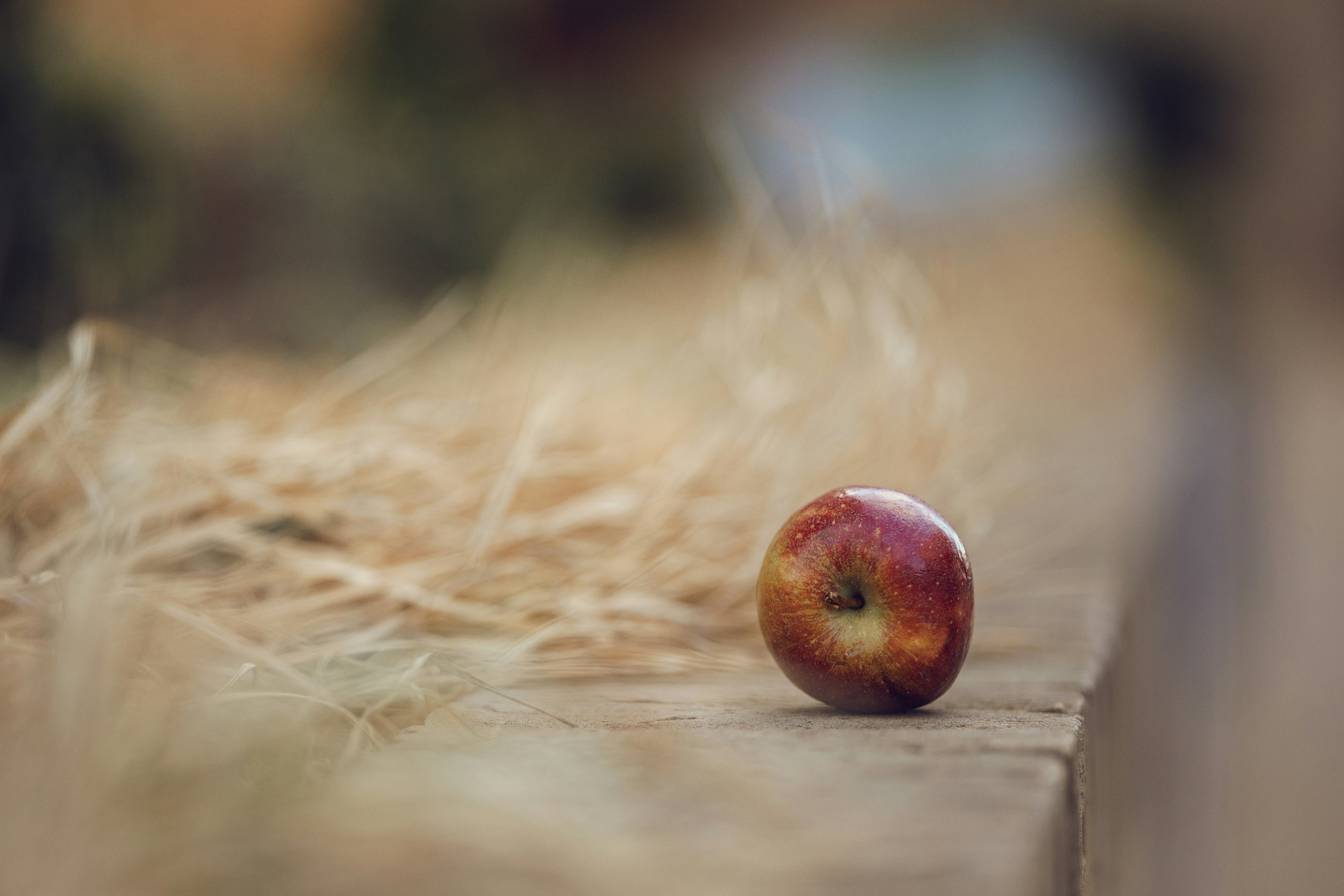 A single red apple resting on a wooden surface, surrounded by soft hay, evoking a sense of simplicity and tranquility.