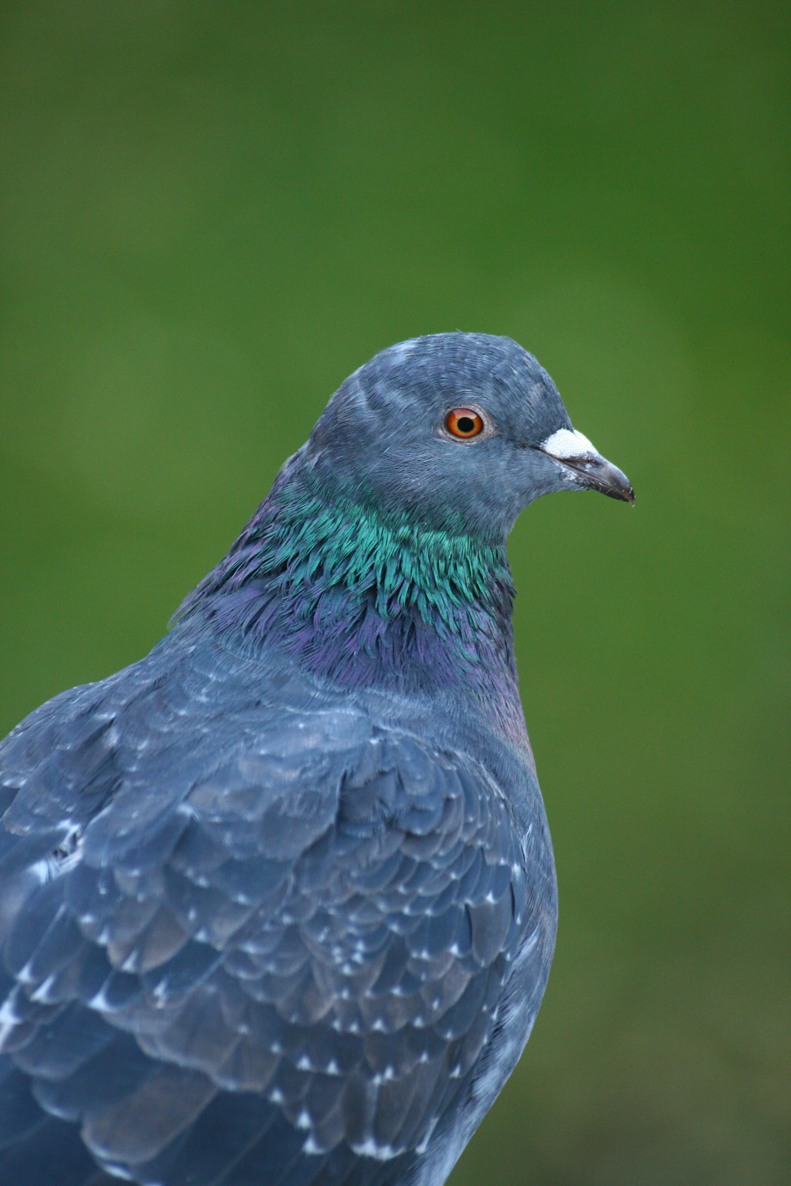 Photo by Wild Spirit with Canon EOS 400D