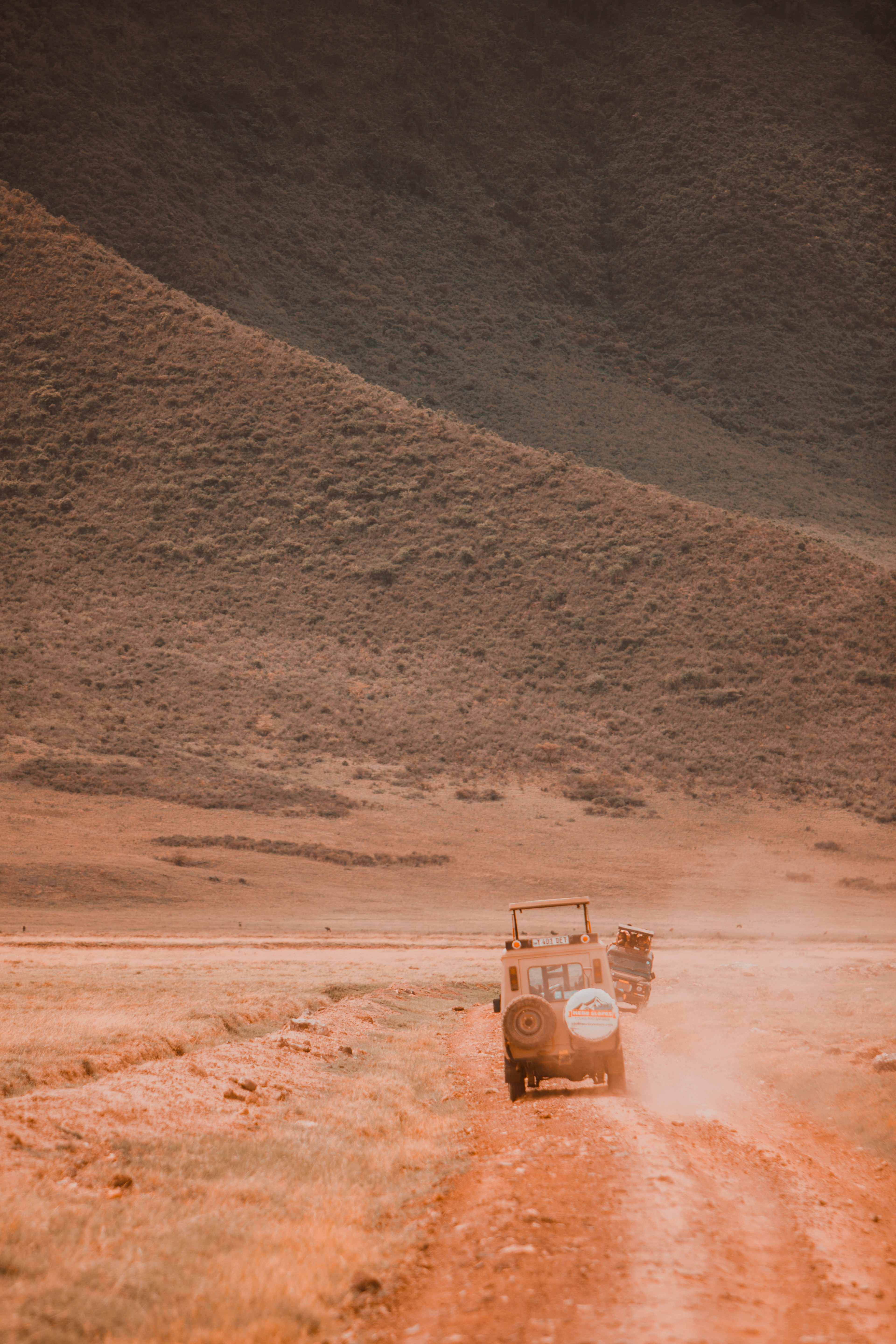Safari experience at the Ngorongoro crater