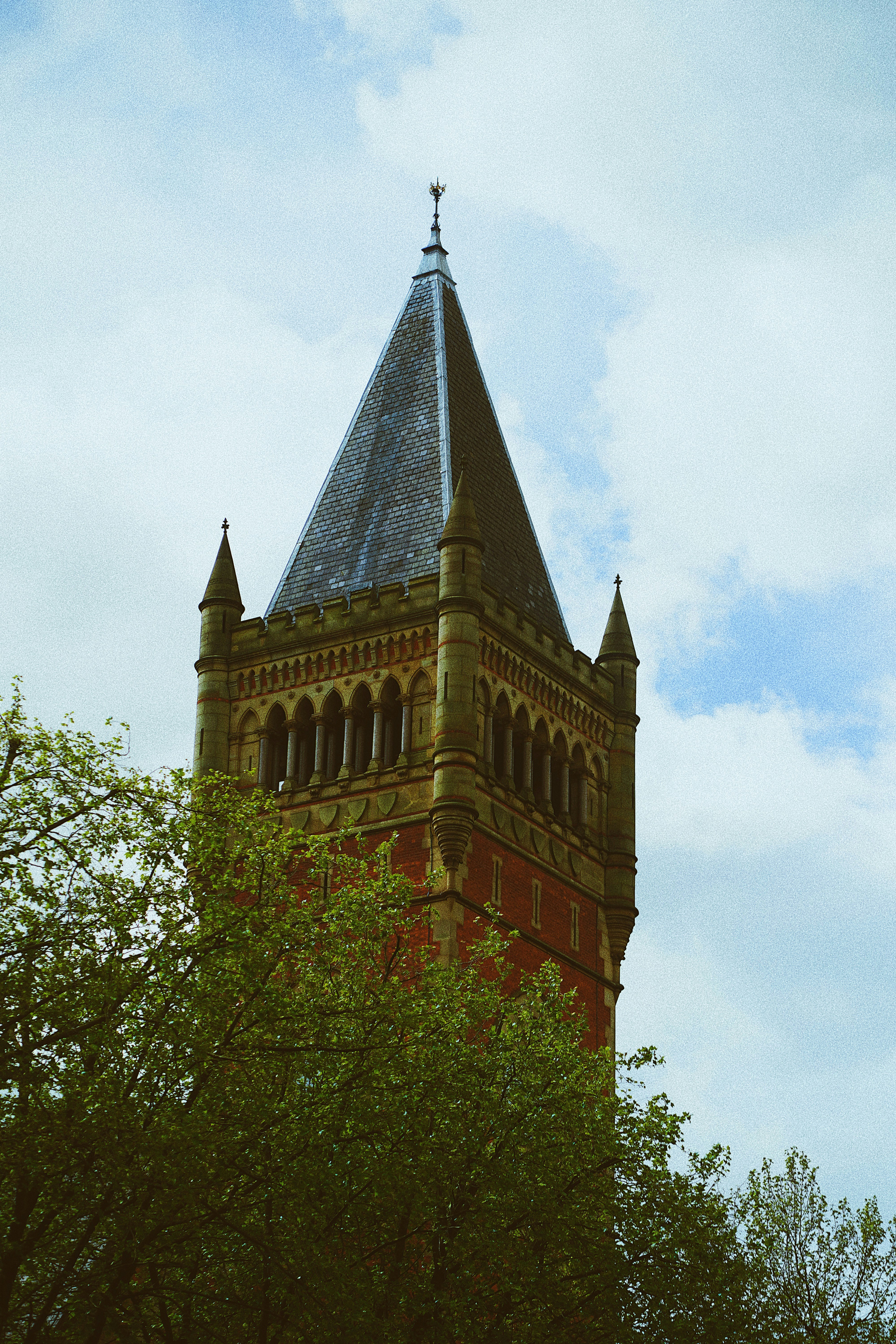 Historic tower peeking through lush green foliage under a cloudy sky. The intricate details of the architecture are highlighted against the natural backdrop.
