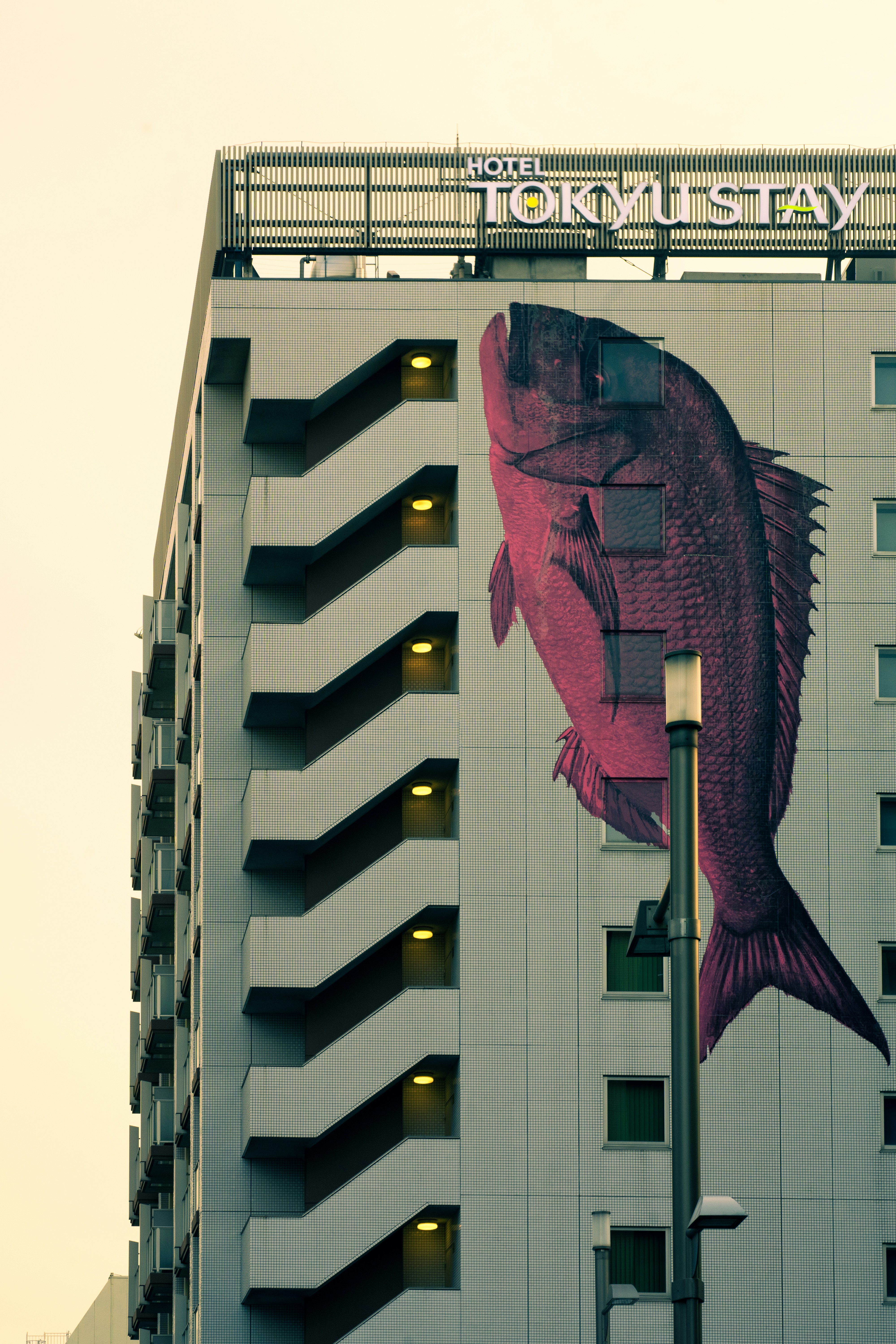 Gigantic Pink Fish Streaks Across a City Facade