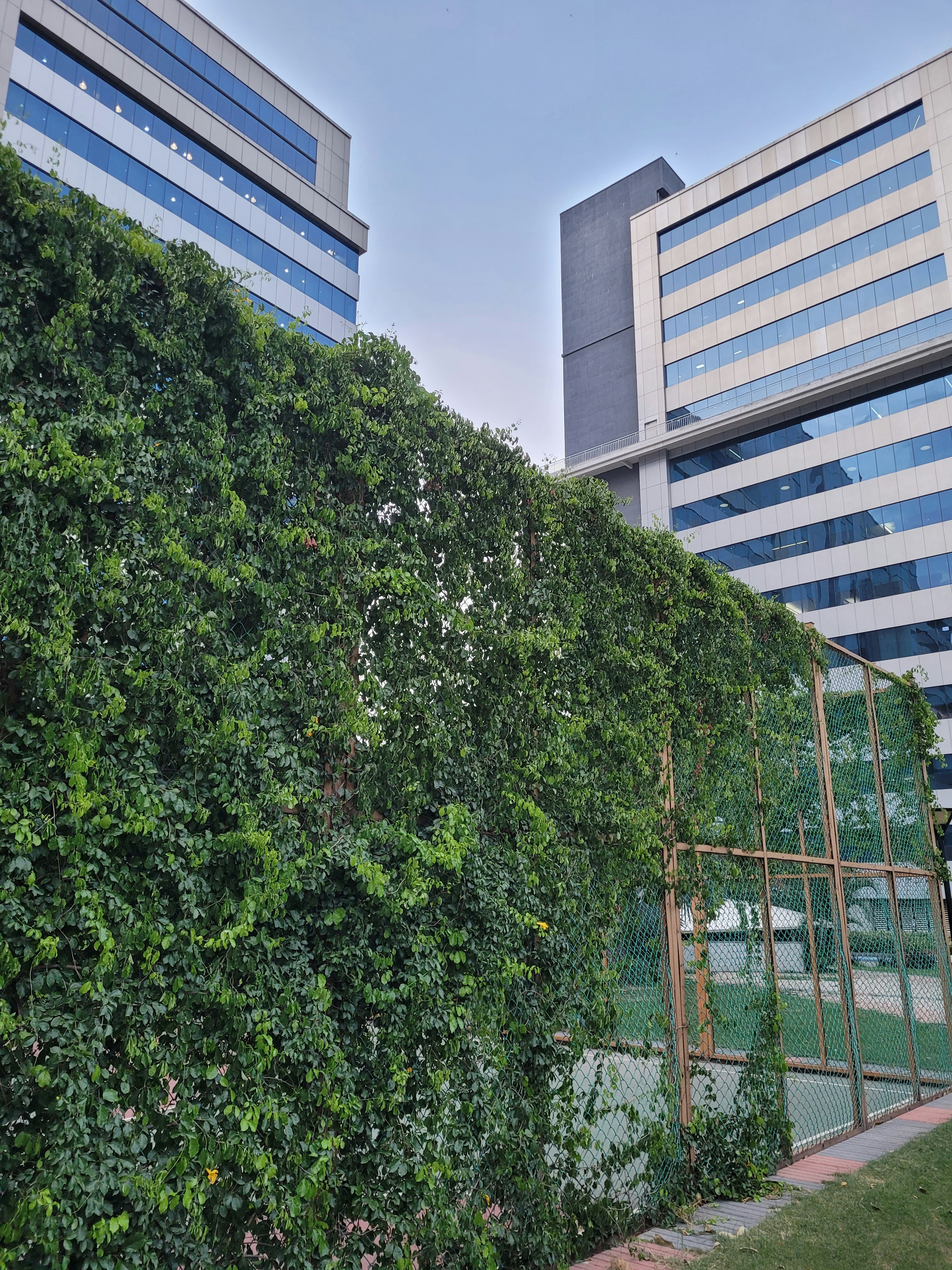 Greenery in the midst of concrete jungle!