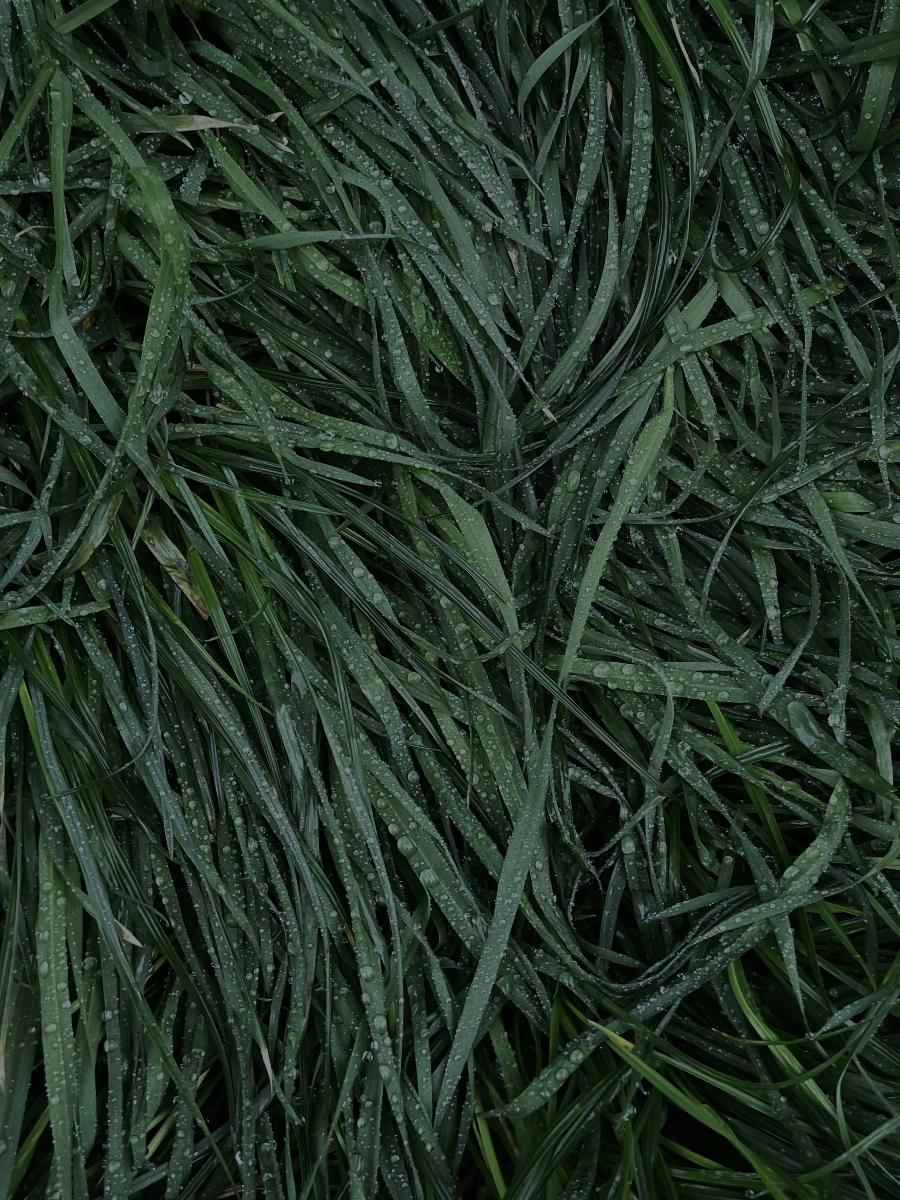 Photo by Eva Derevianko with Apple iPhone 12