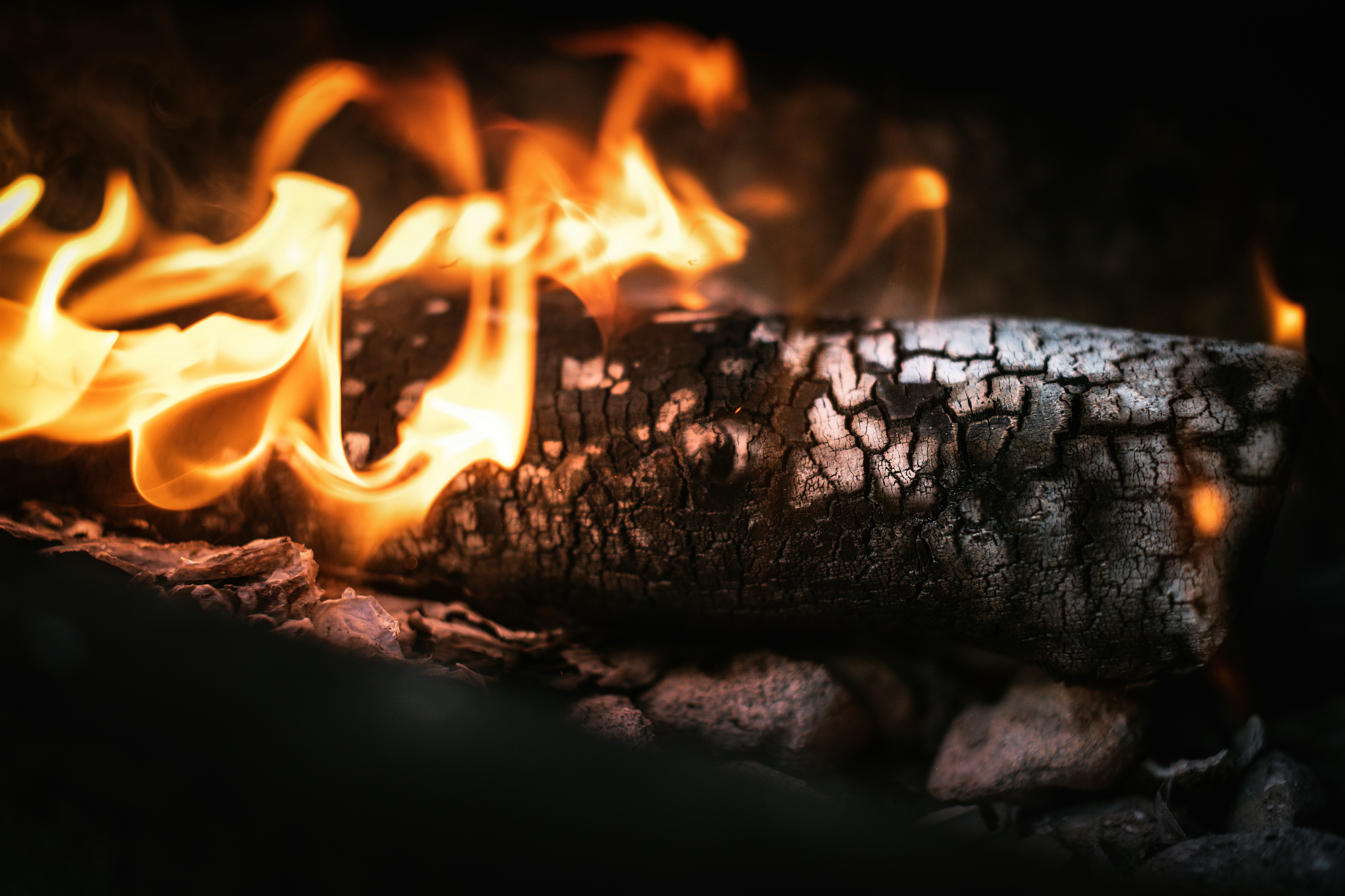 Amber Fingers of Fire Curl Around Weathered Logs