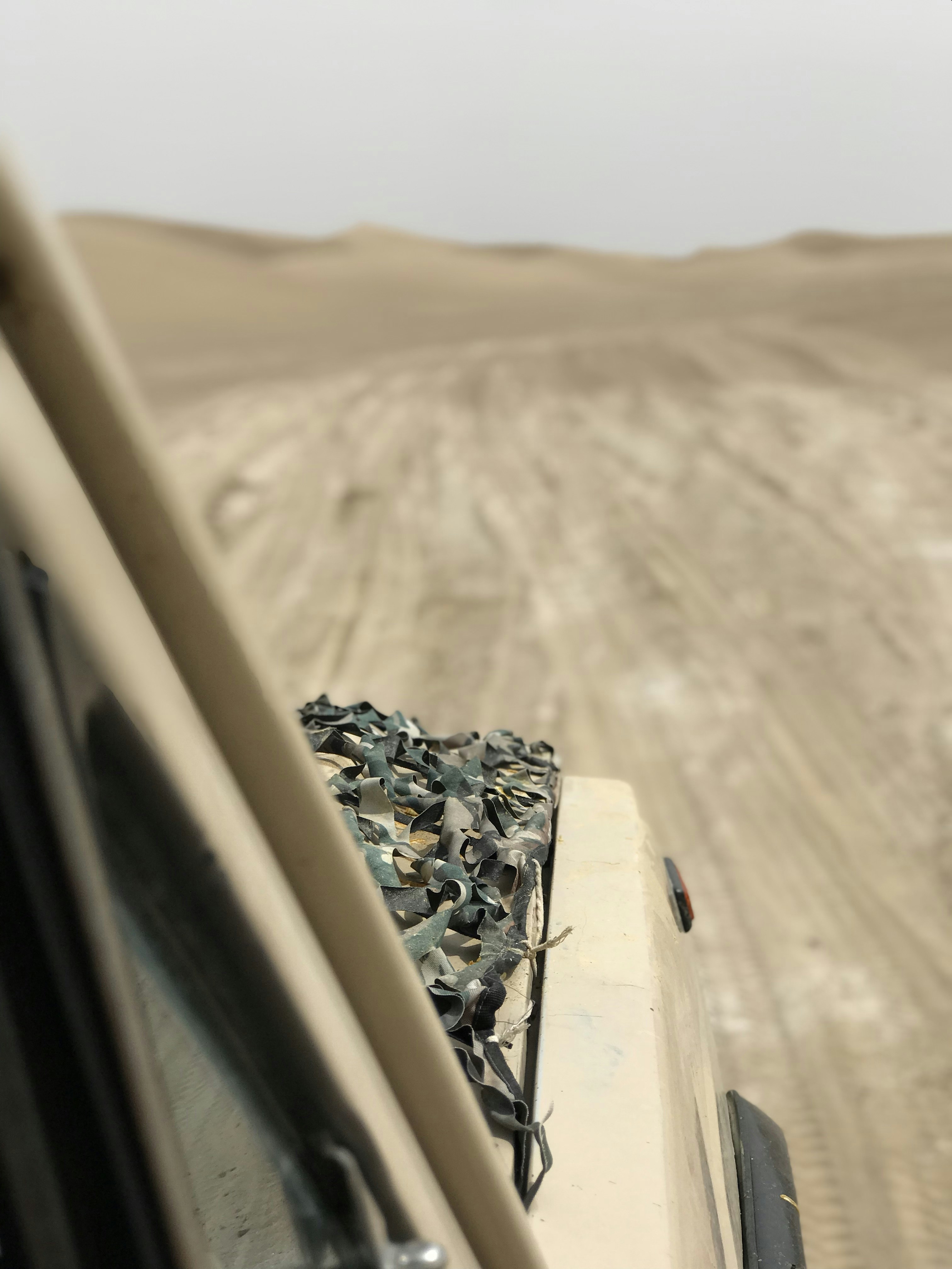 A truck filled with lots of birds driving down a dirt road photo – Free ...