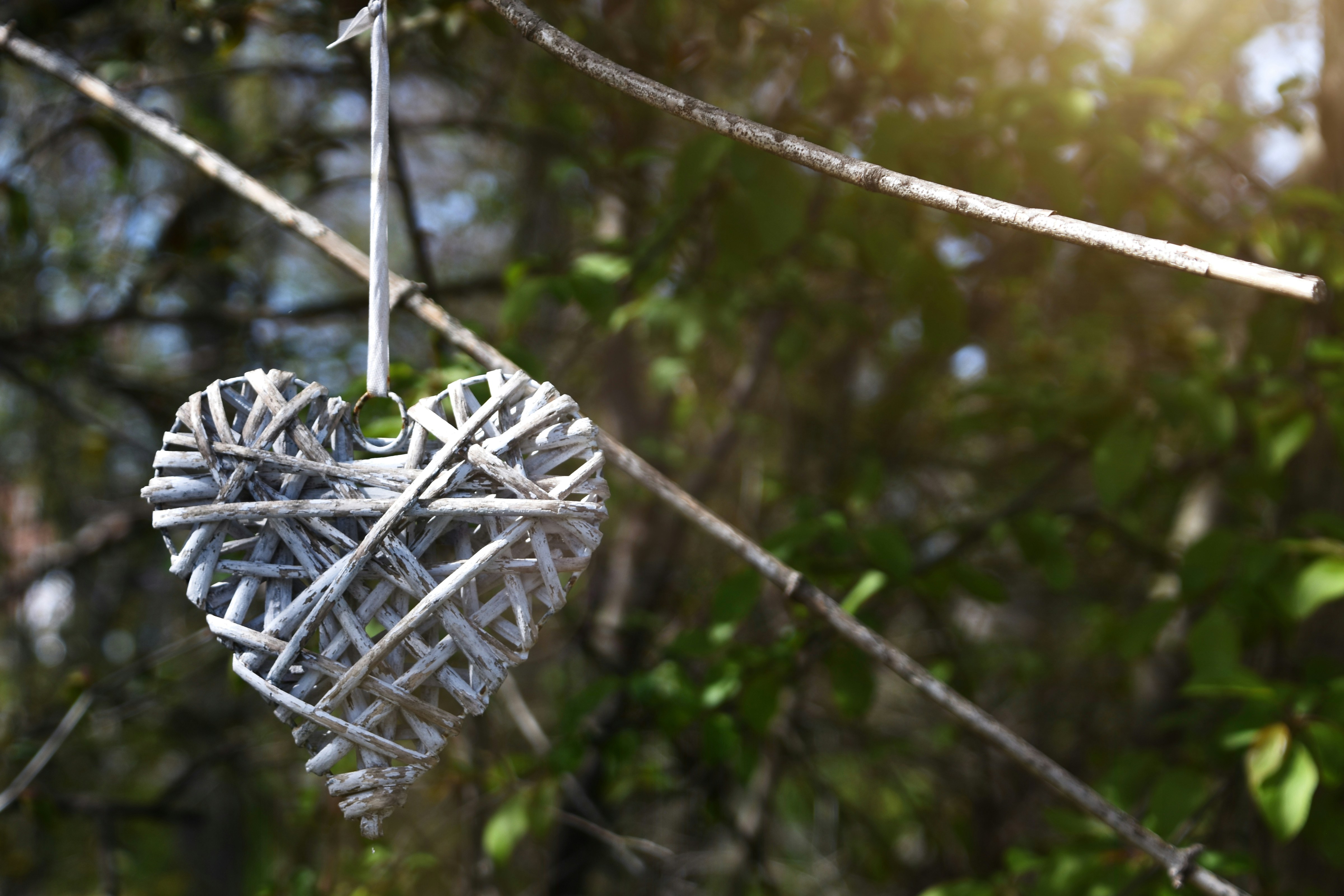 a heart shaped ornament hanging from a tree