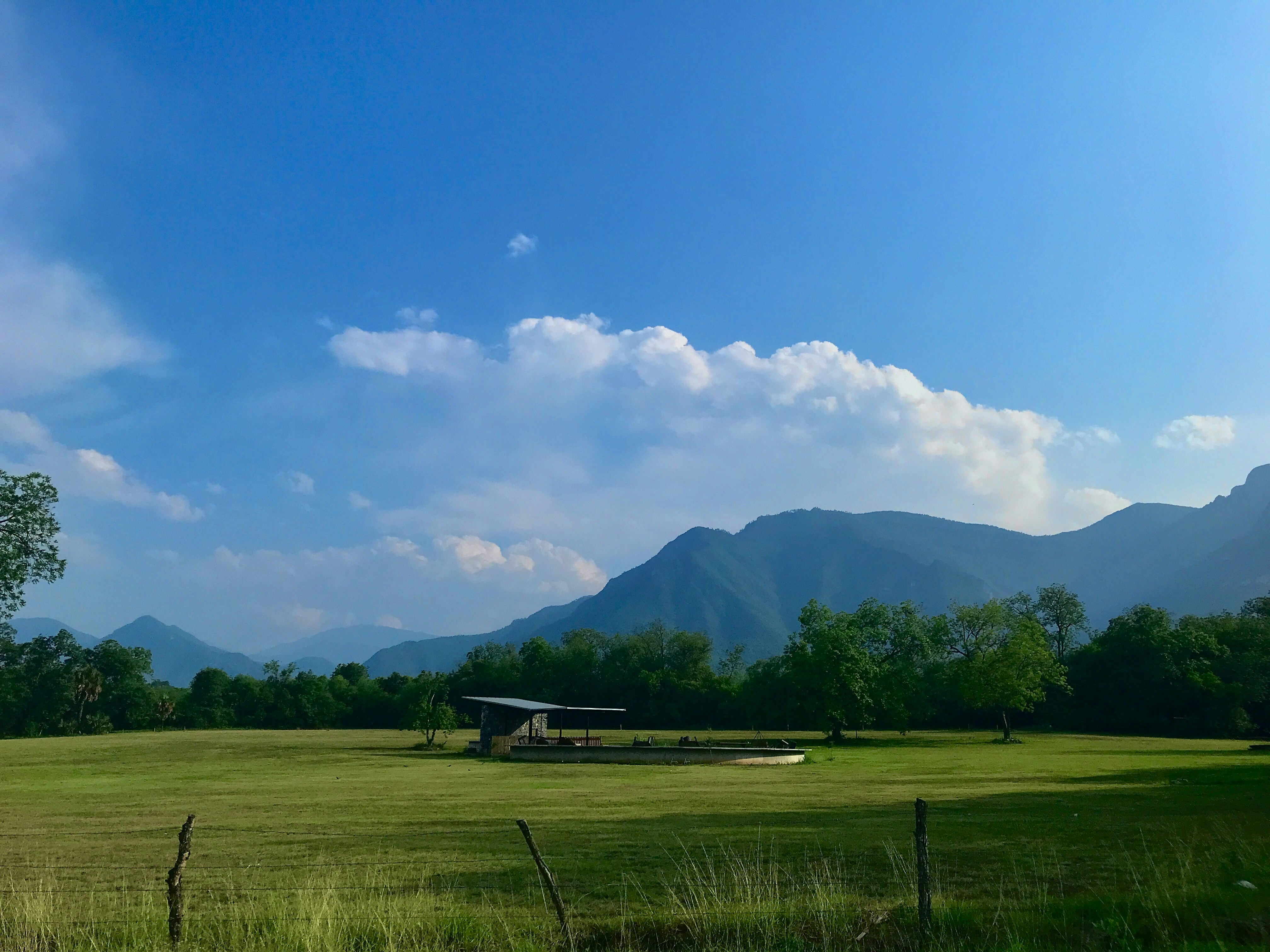 a grassy field with mountains in the background