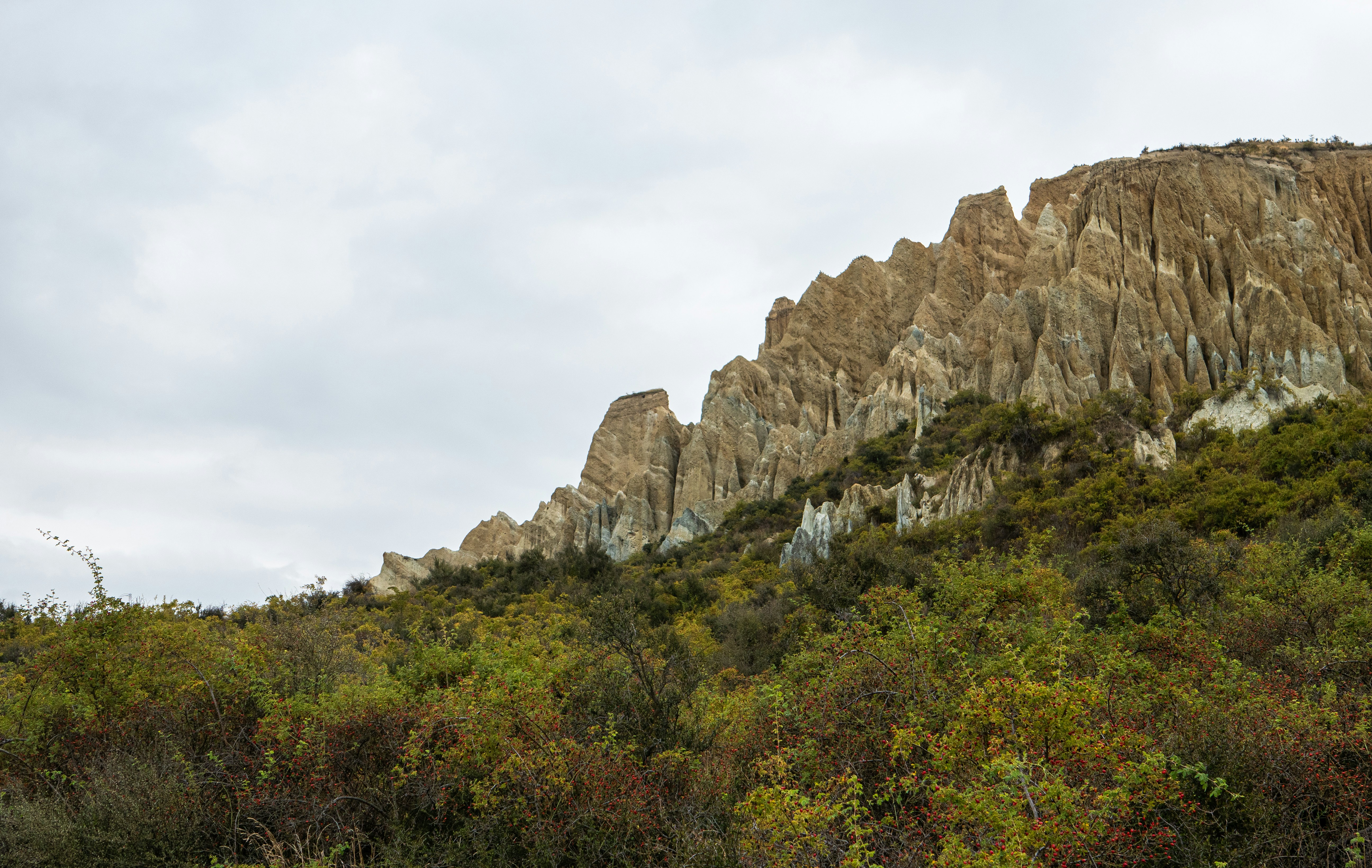 a rocky mountain with trees and bushes on the side