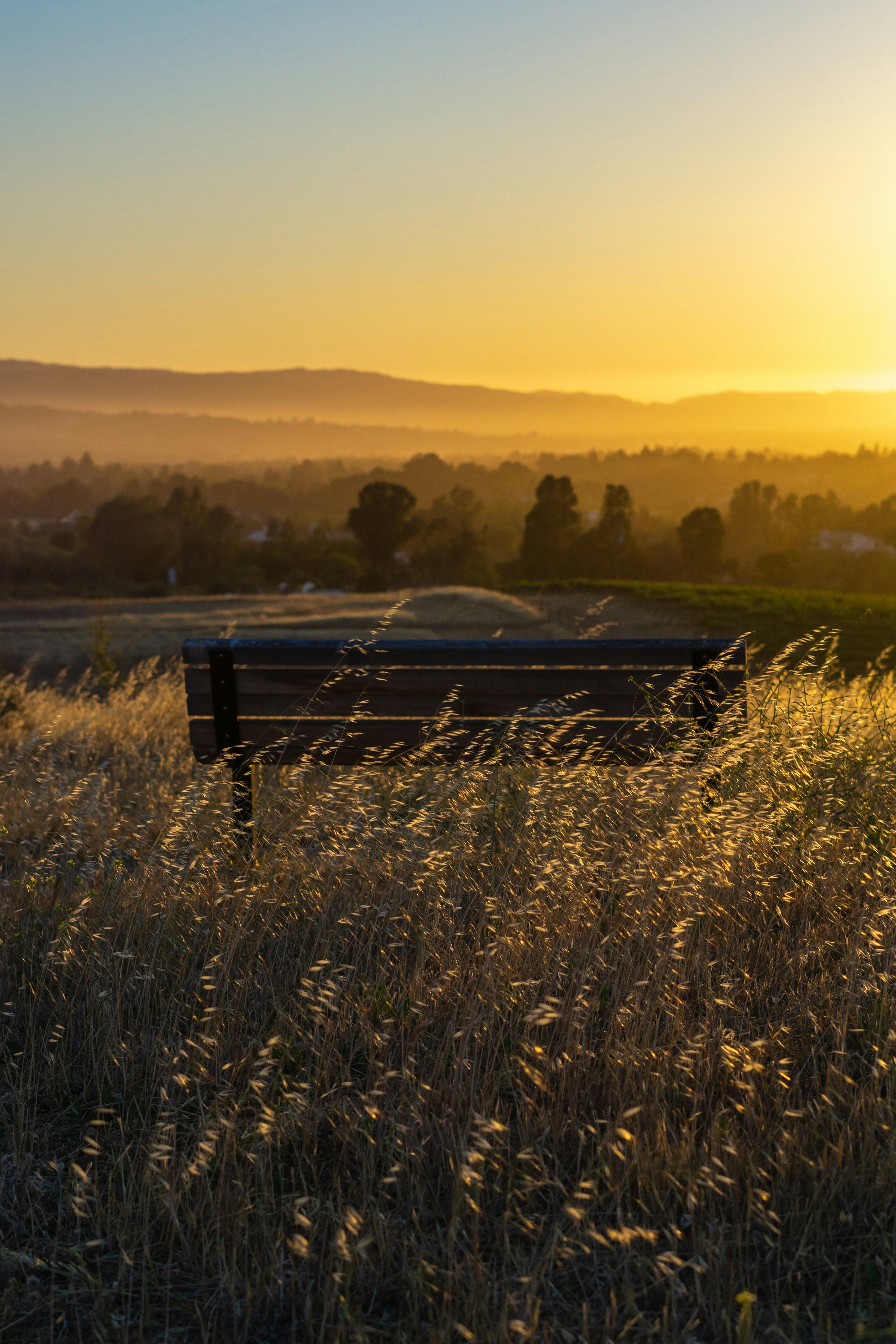 Un banc assis au milieu d’un champ photo – Photo Etats-Unis Gratuite ...