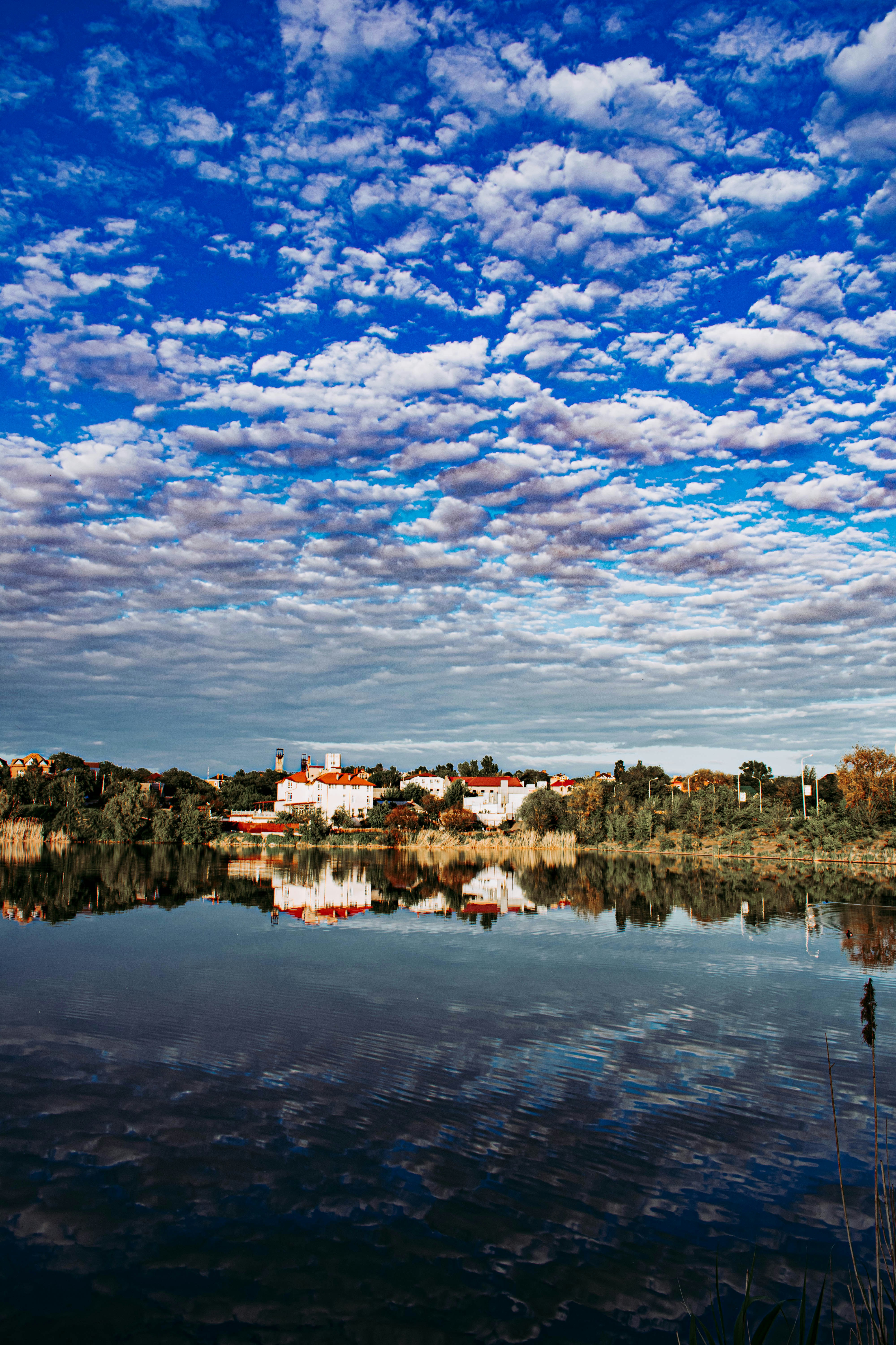a body of water surrounded by trees and clouds