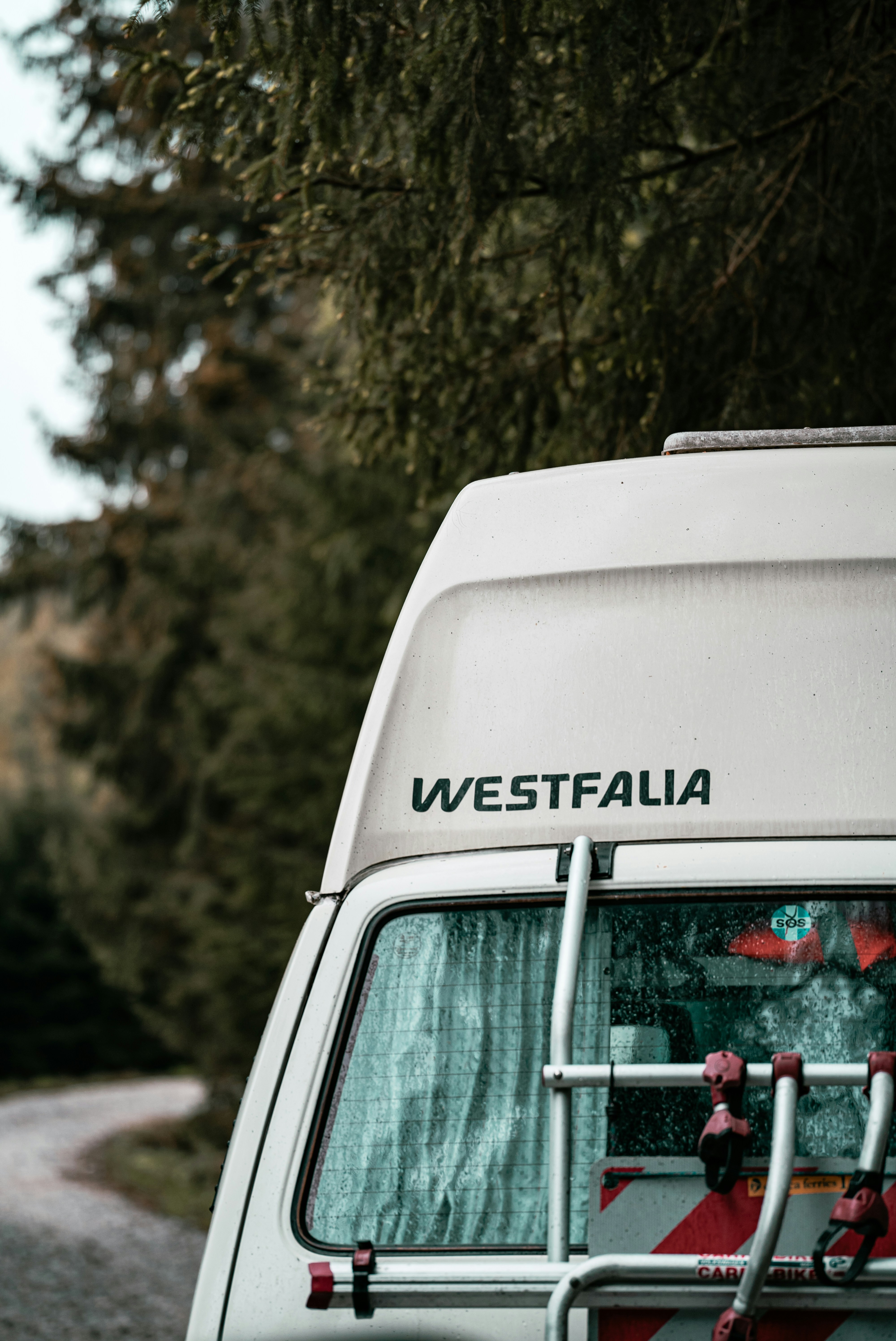 Westfalia at the Forest Edge: A Camper Van’s Quiet Road Home