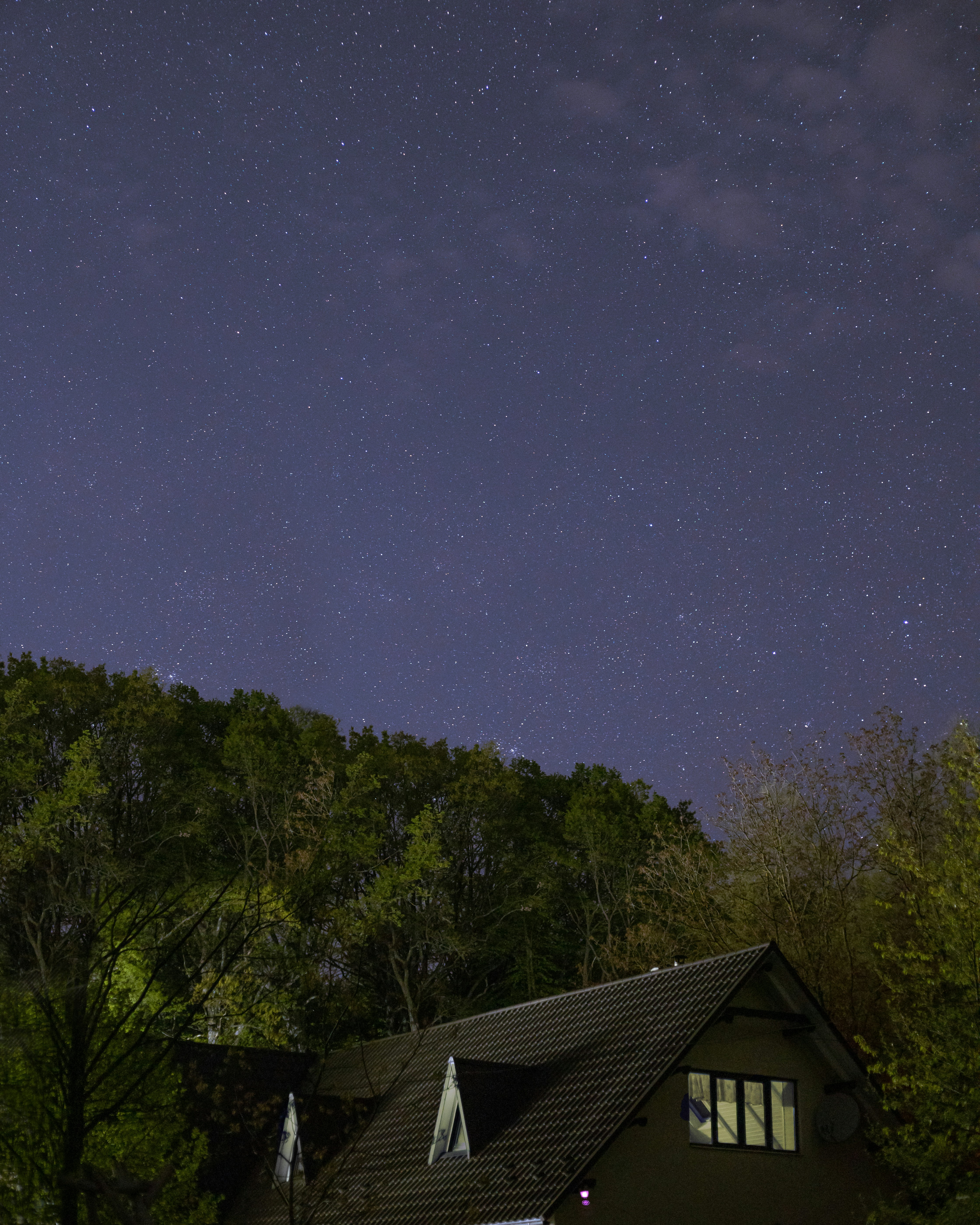 House in the forest under night sky
