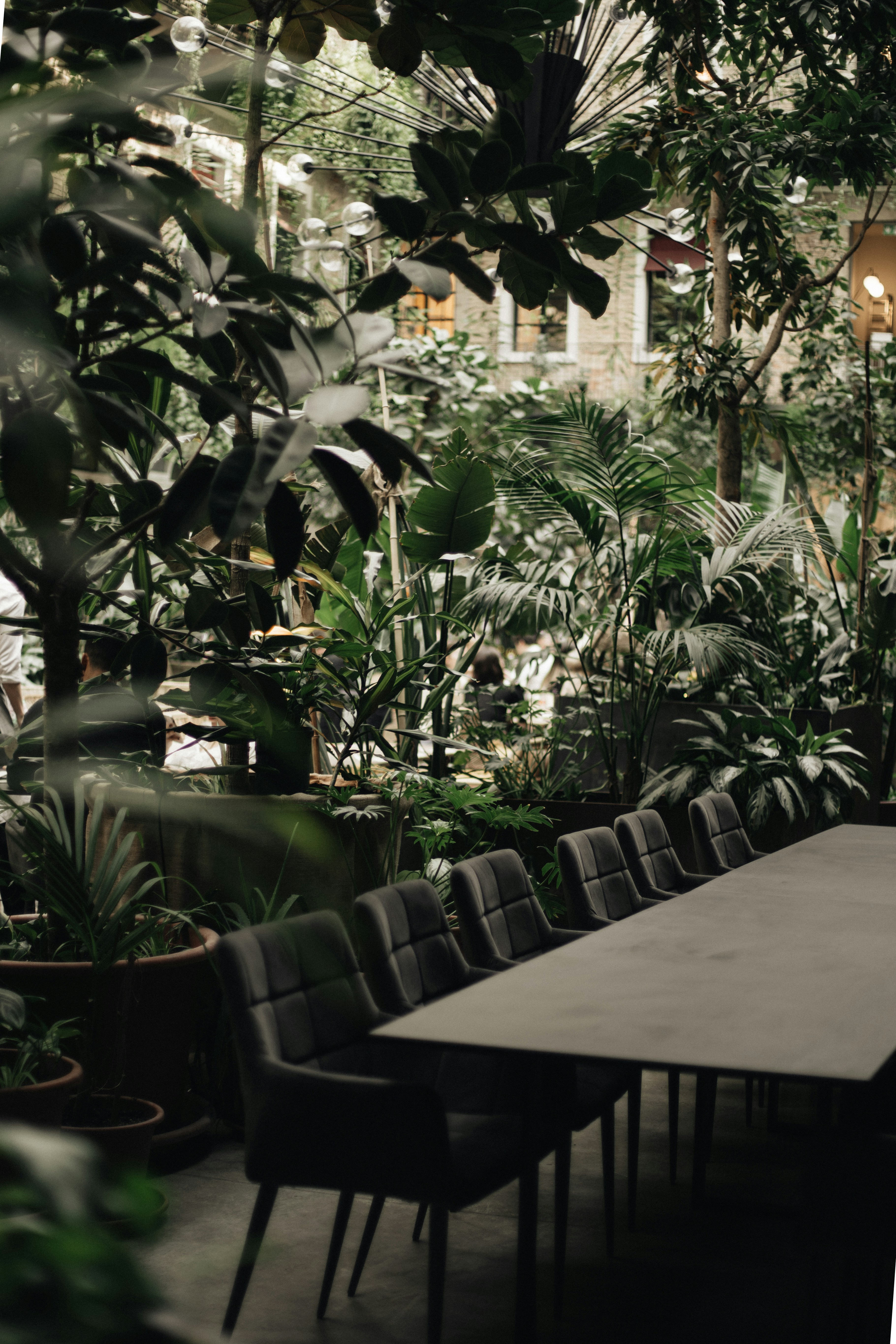 Lush greenery envelops a modern dining table set amidst a vibrant indoor garden, inviting guests to enjoy a unique culinary experience.