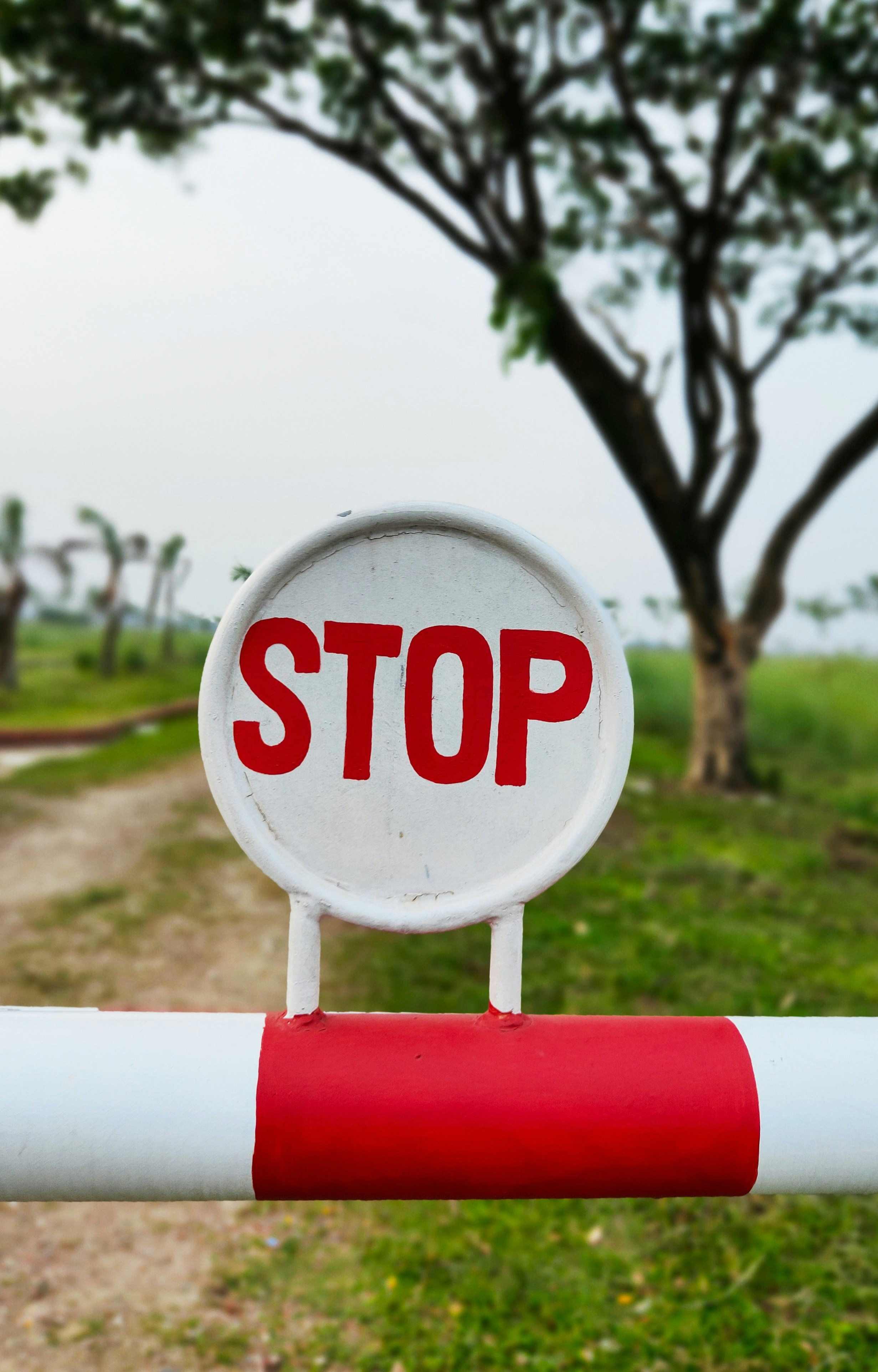 Circular stop sign mounted on a barrier, with a blurred background of trees and grass. The bright red lettering commands attention.