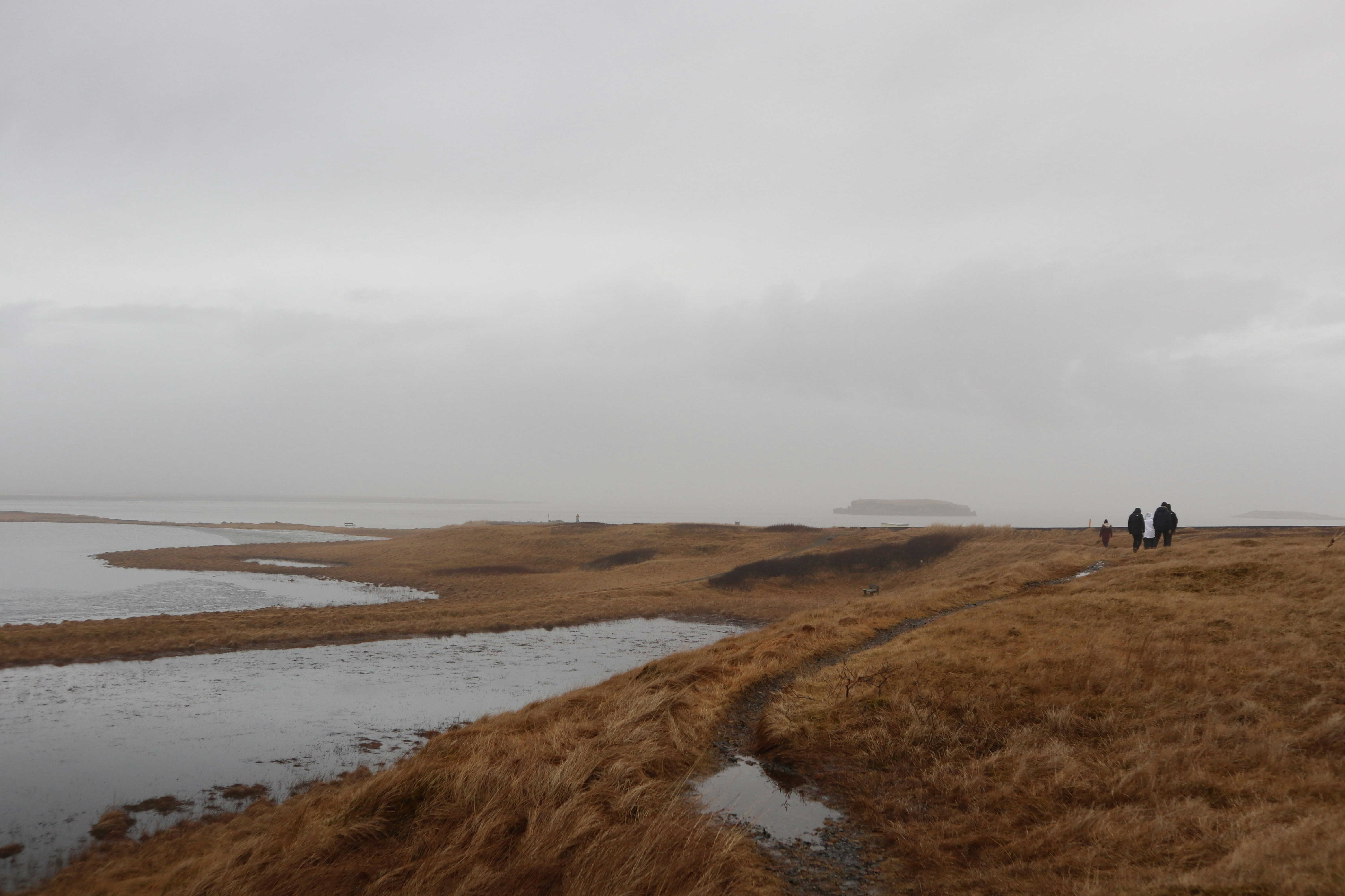 Misty Dune Walk: A Narrow Path Toward the Distant Horizon