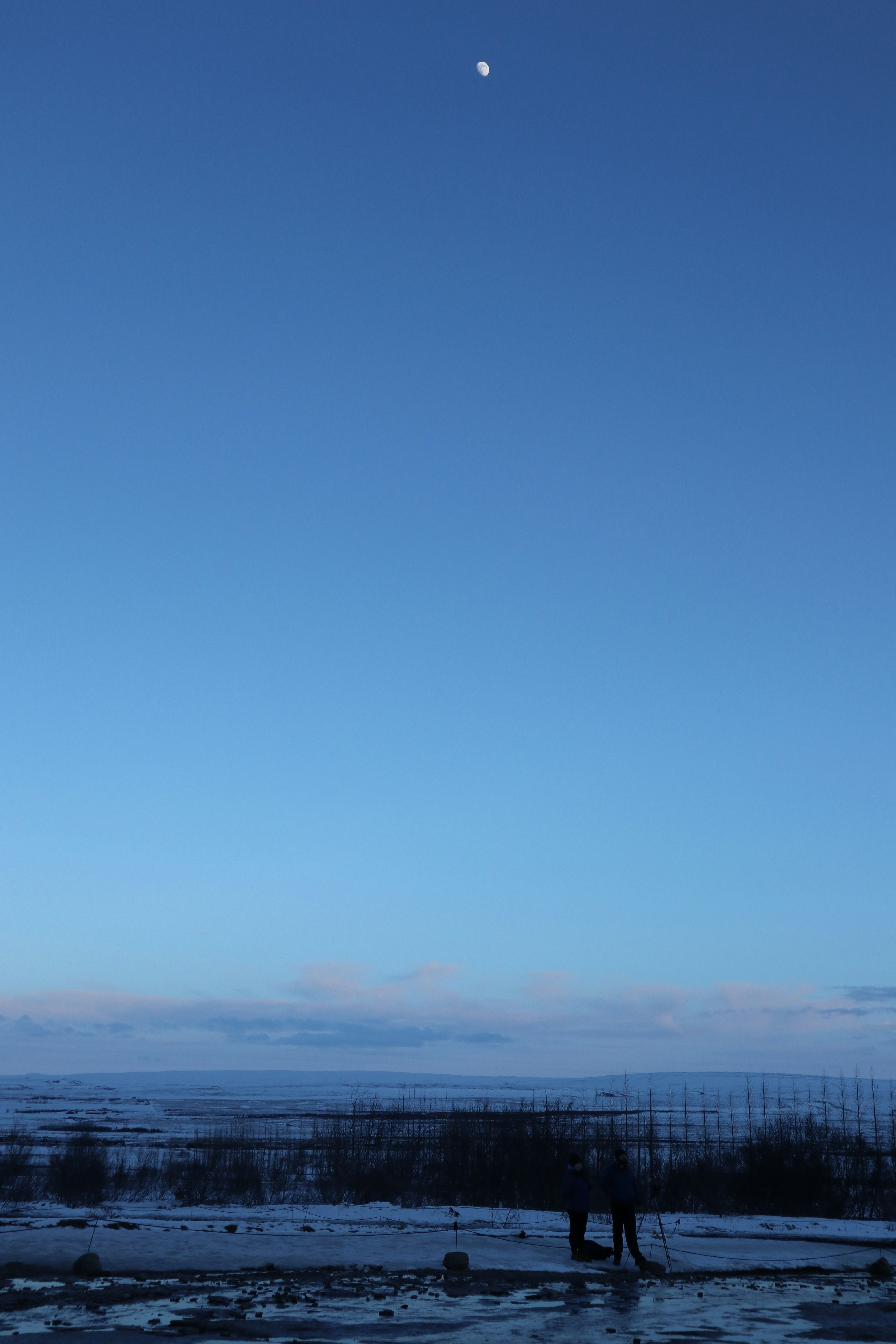 Moonlit Shore: Quiet Figures at the Edge of Winter