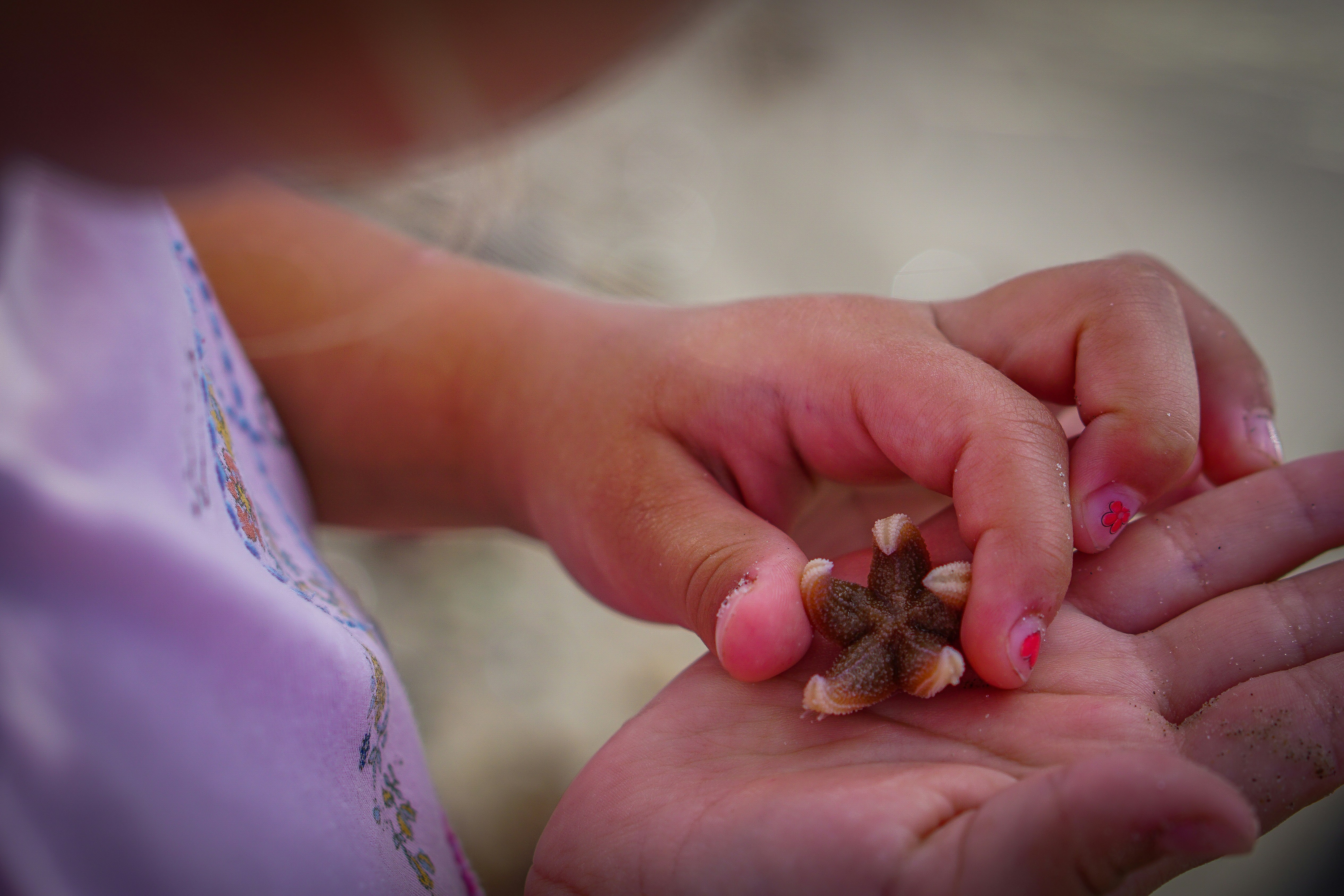 Child's hands gently holding a small starfish, showcasing a moment of wonder and curiosity in nature.